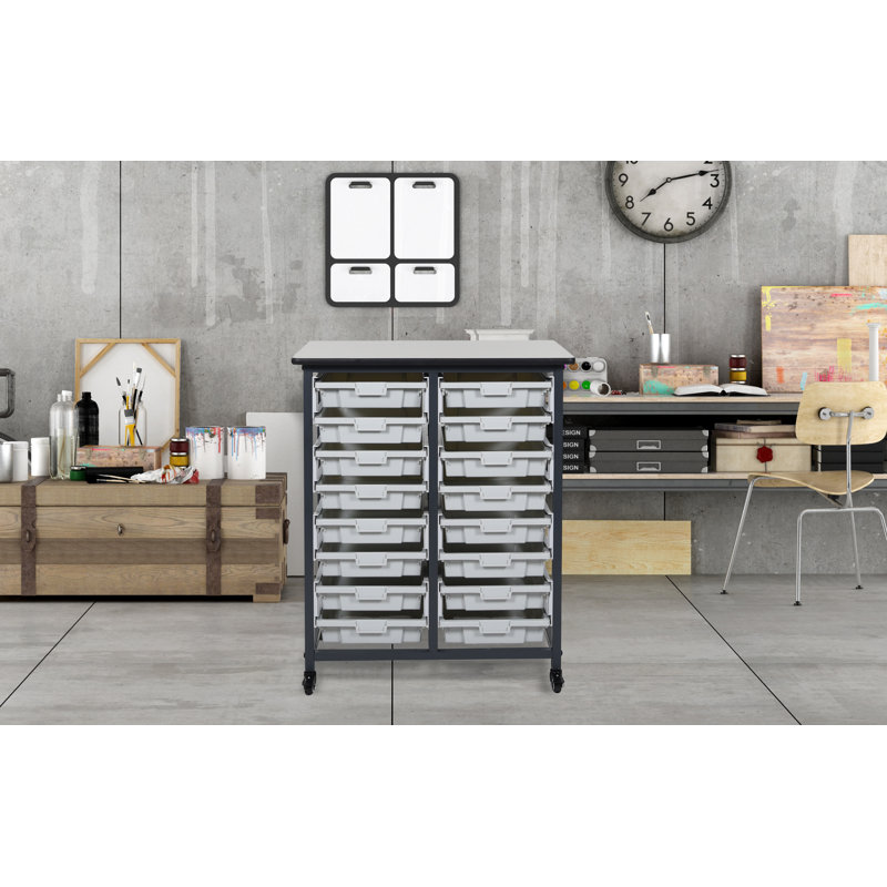 Luxor 16 Drawer Storage Drawer & Reviews | Wayfair