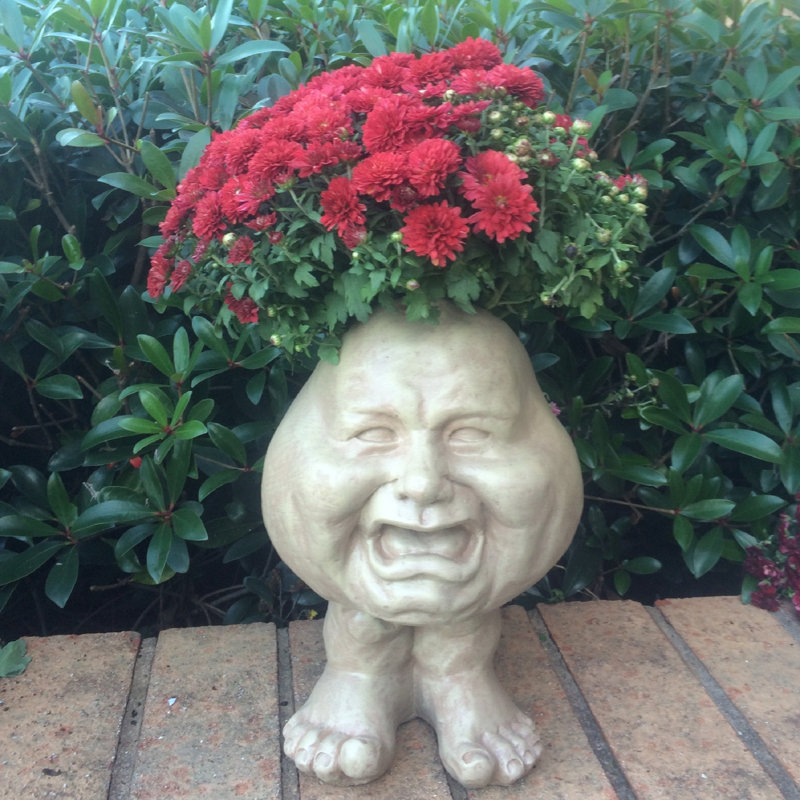HomeStyles Muggly's Crying Brother Face Statue Planter & Reviews | Wayfair
