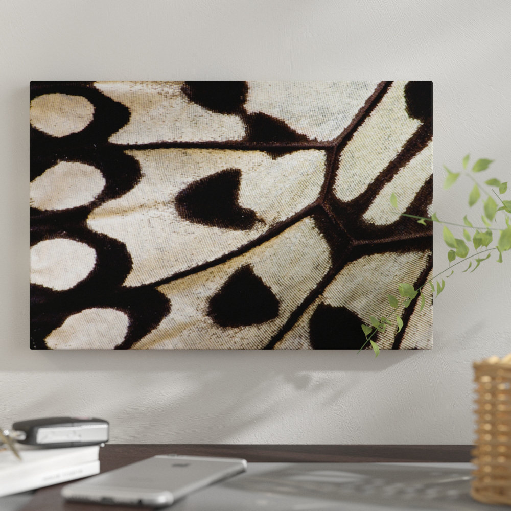 East Urban Home Butterfly Wing Macro-Photography II by Darrell Gulin ...