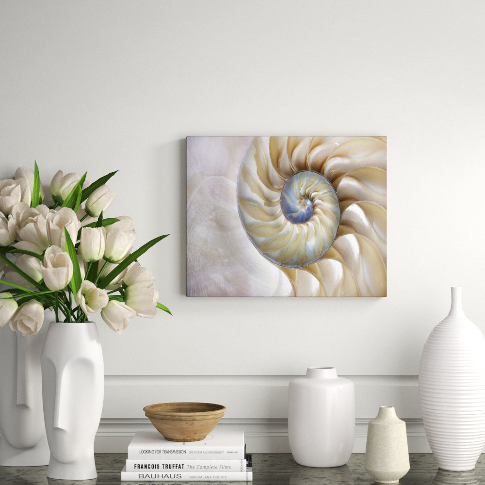 DecorumBY Sea Shell Swirl - Graphic Art Print | Perigold