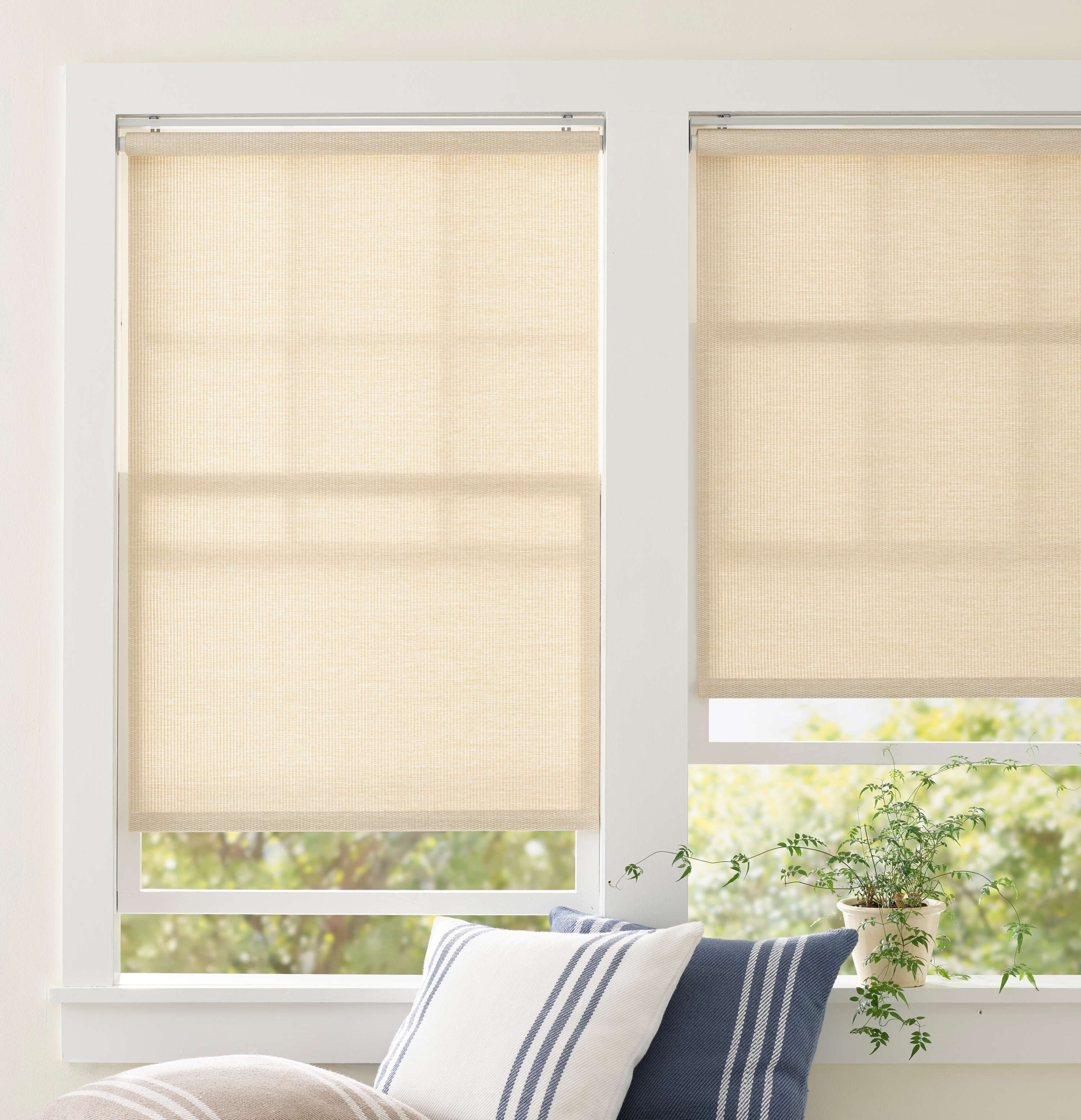 Pine Cone Hill Ridge Cordless Roller Shade & Reviews | Wayfair