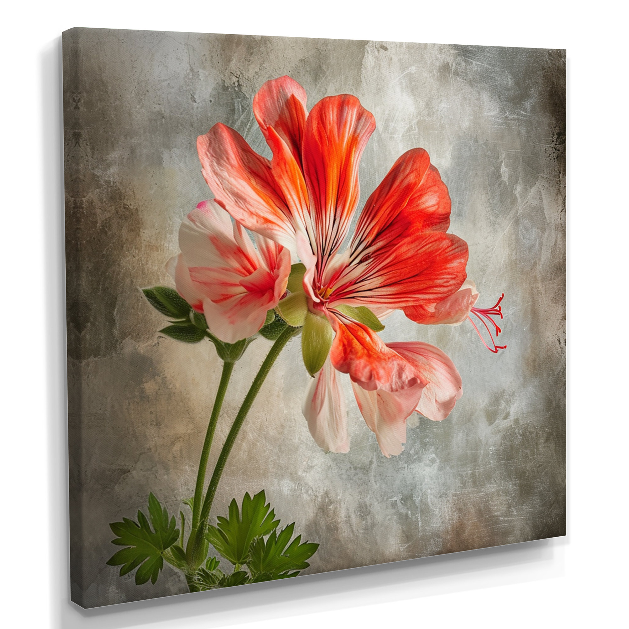 Lark Manor™ Close Up Of Red Geranium - Geraniums Wall Art Print | Wayfair