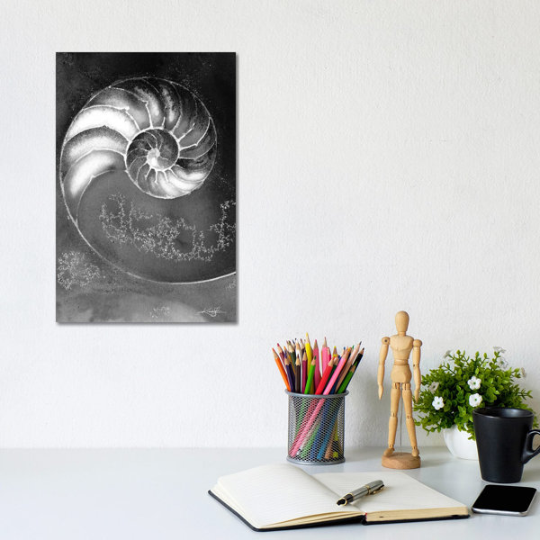 House of Hampton Nautilus Shell IIIB by Kathy Morton Stanion - Wrapped ...