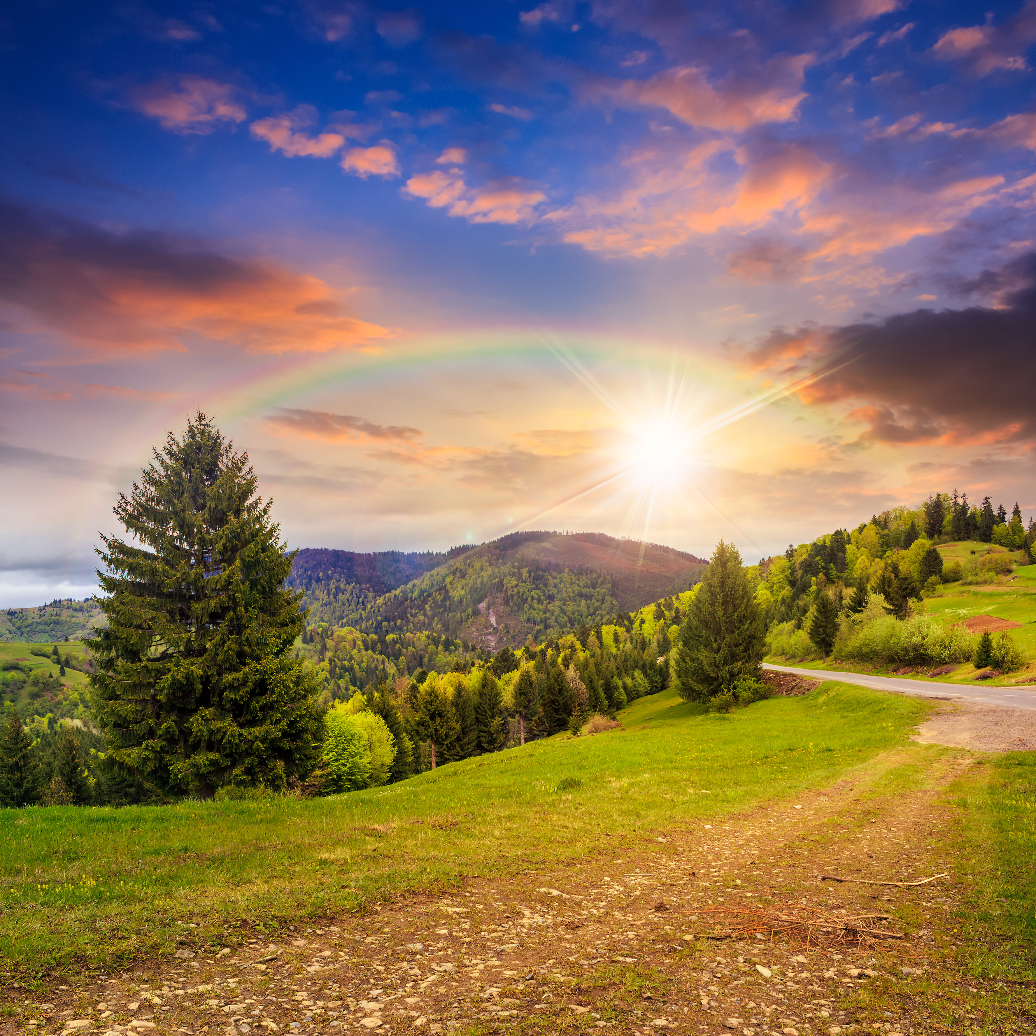 Millwood Pines «Amonnie Follow the Rainbow In High Land At Sunset On ...