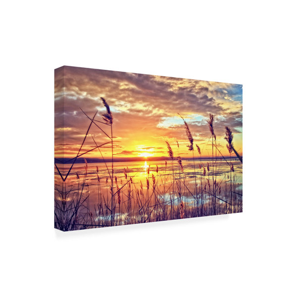 Dovecove All-Weather Canvas Landscape & Nature Wall Decor | Wayfair