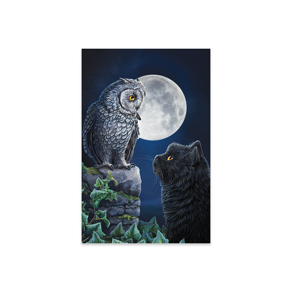 Millwood Pines Purrfect Wisdom Print On Acrylic Glass - Wayfair Canada