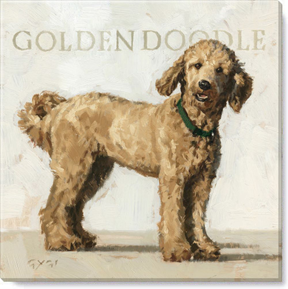 Darren Gygi Home Collection Goldendoodle by Darren Gygi - Wrapped ...