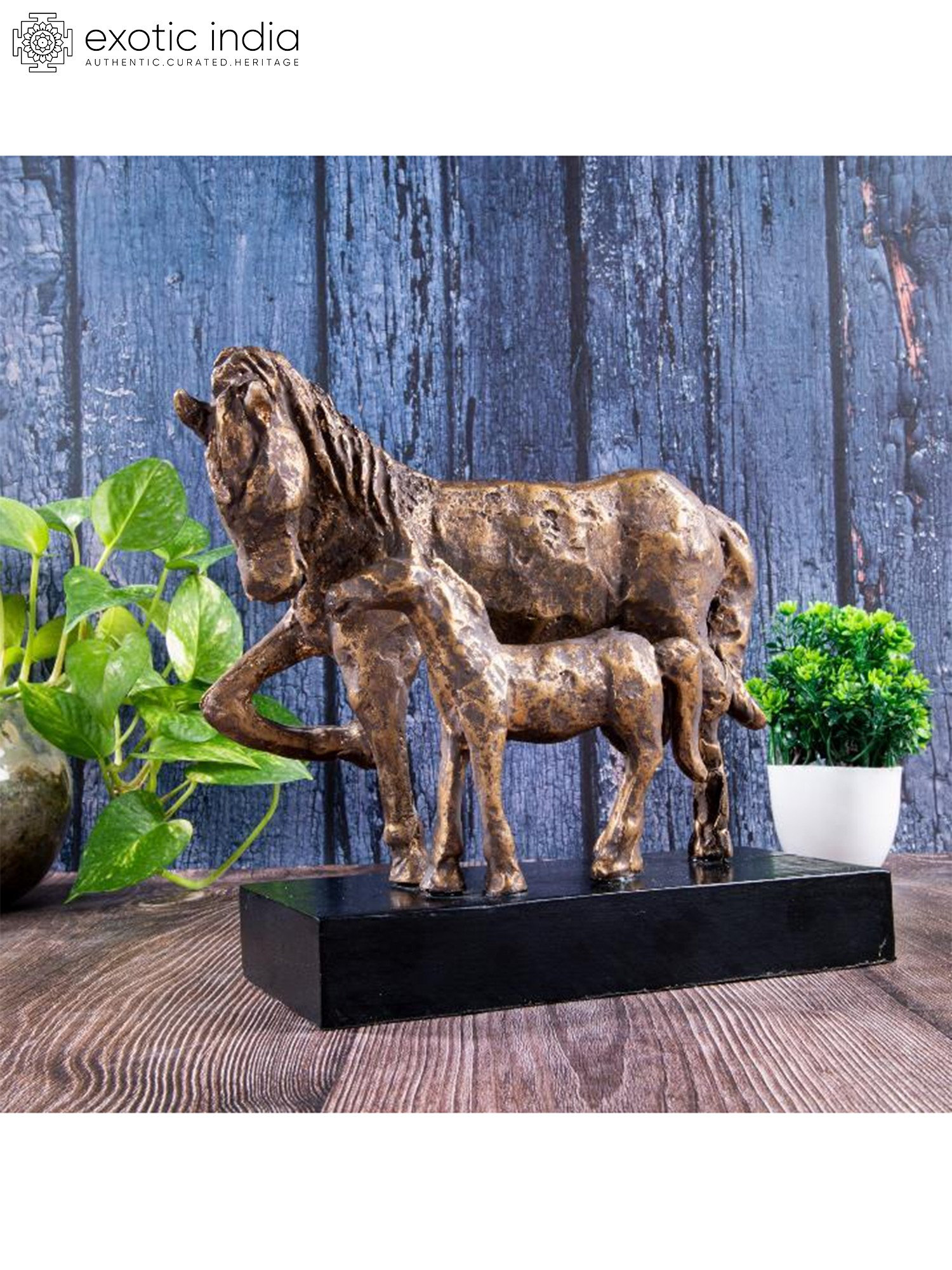 Exotic India Home Decorative | Wayfair