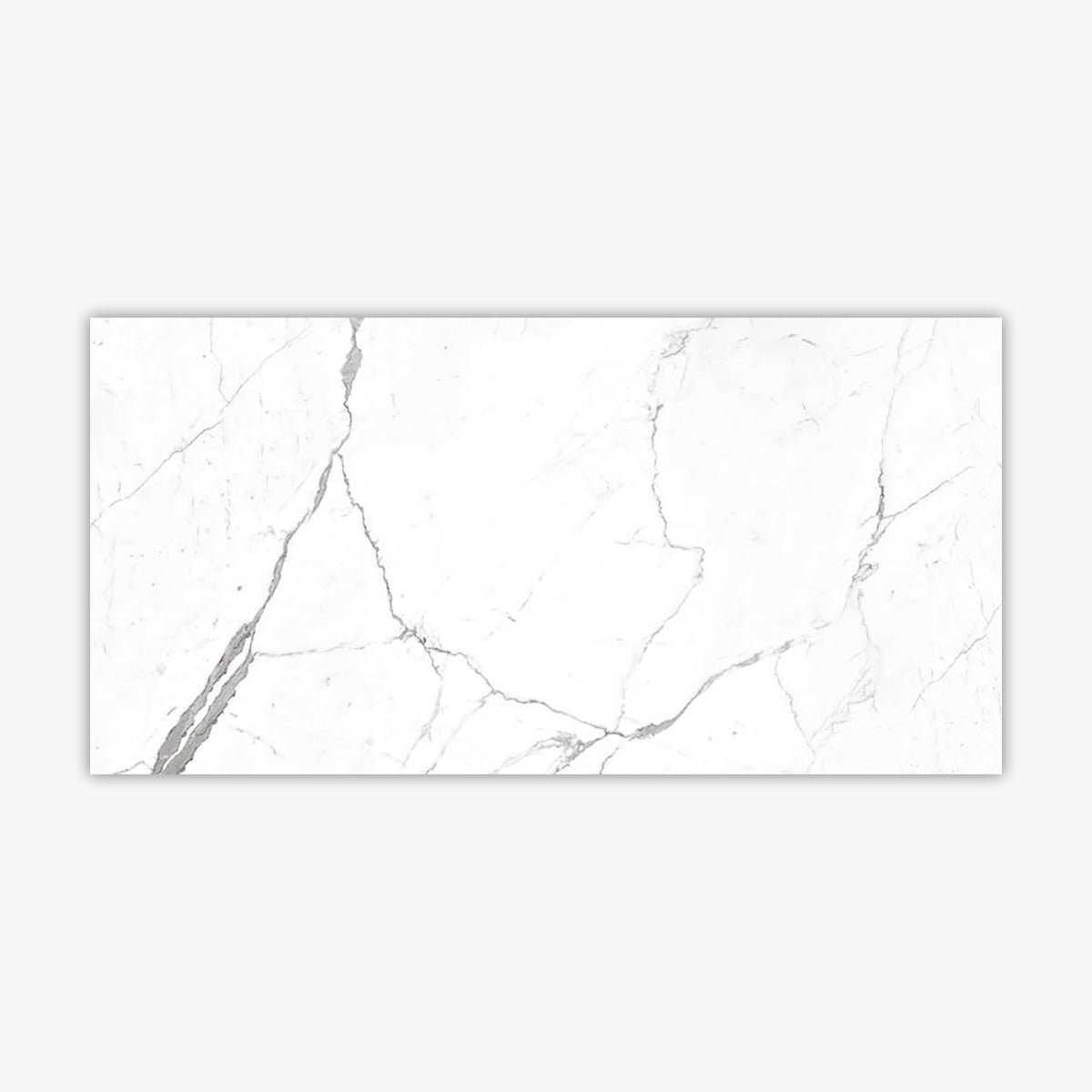Direct Stone Source Calacatta 12" x 24" Porcelain Marble Look Singular Wall & Floor Tile | Wayfair