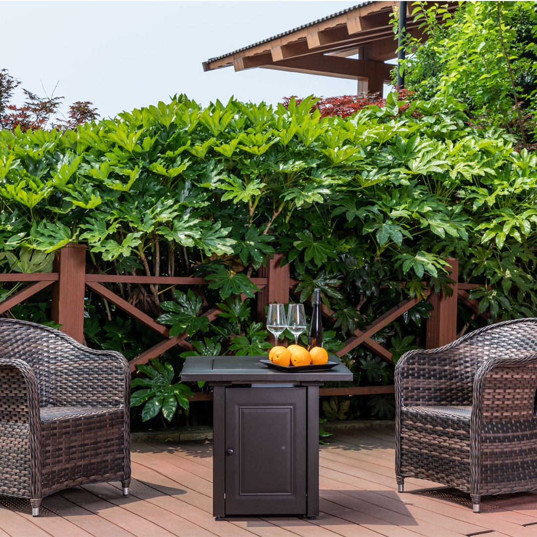 Freeport Park® Jiron Steel Propane Fire Pit & Reviews - Wayfair Canada