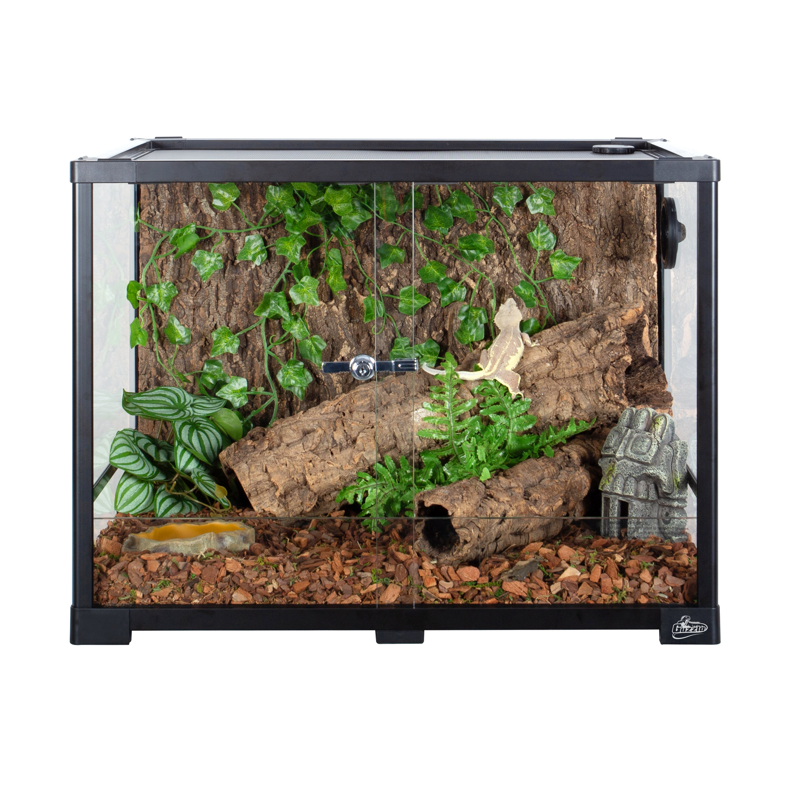 GUZZLO 34 Gallon Terrarium | Wayfair