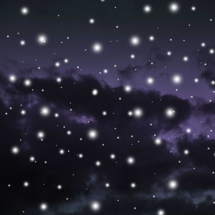 Wrought Studio Wannanup Anita's And Bella's Artwork Purple Midnight ...