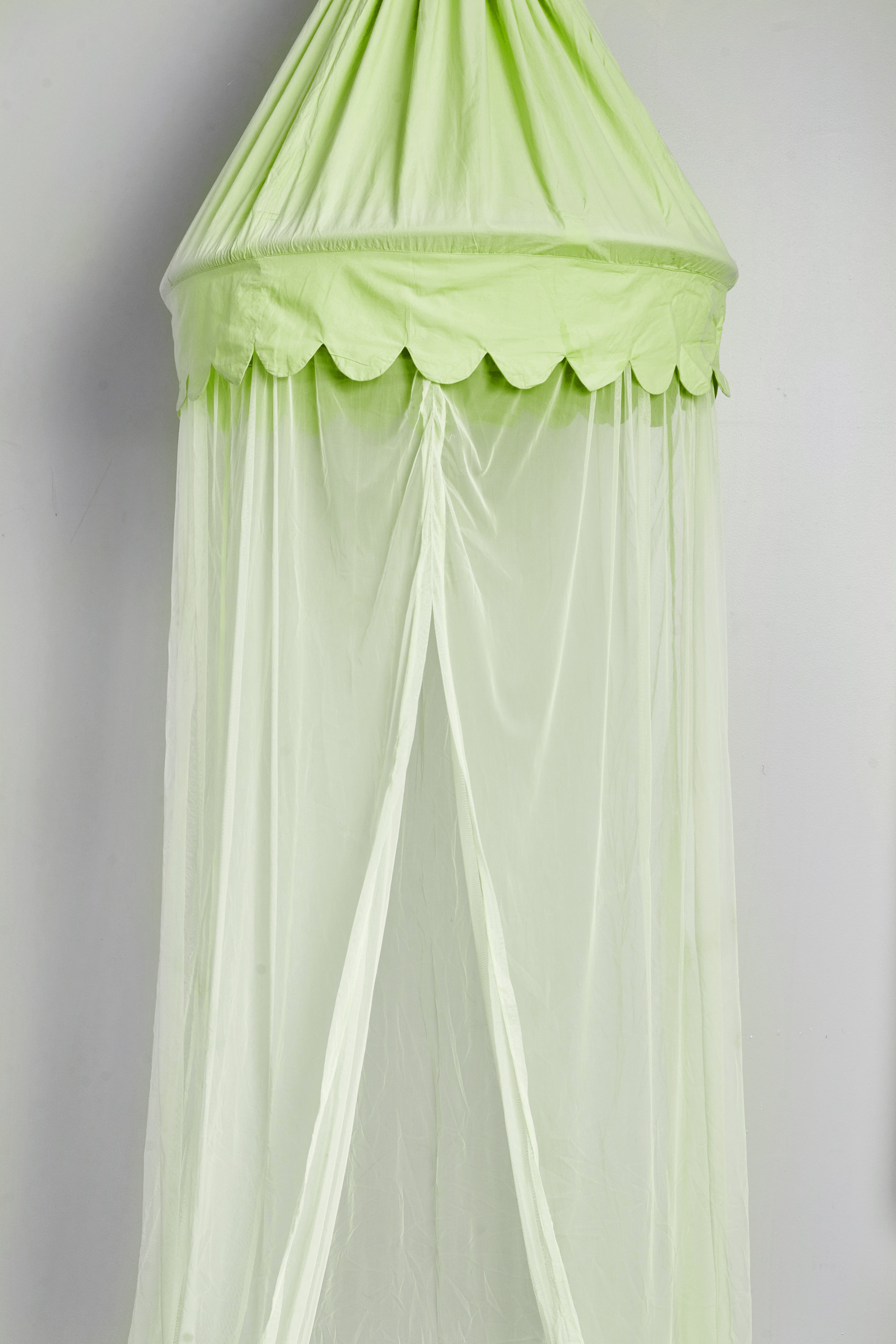 Amity Home Hook & Loop Fastener Bed Canopy | Perigold