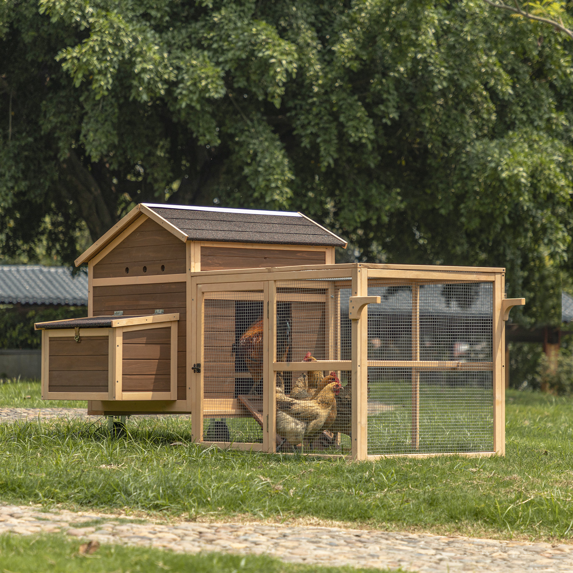 Tucker Murphy Pet™ Darrant 50 Square Feet Chicken Coop with Nesting Box ...