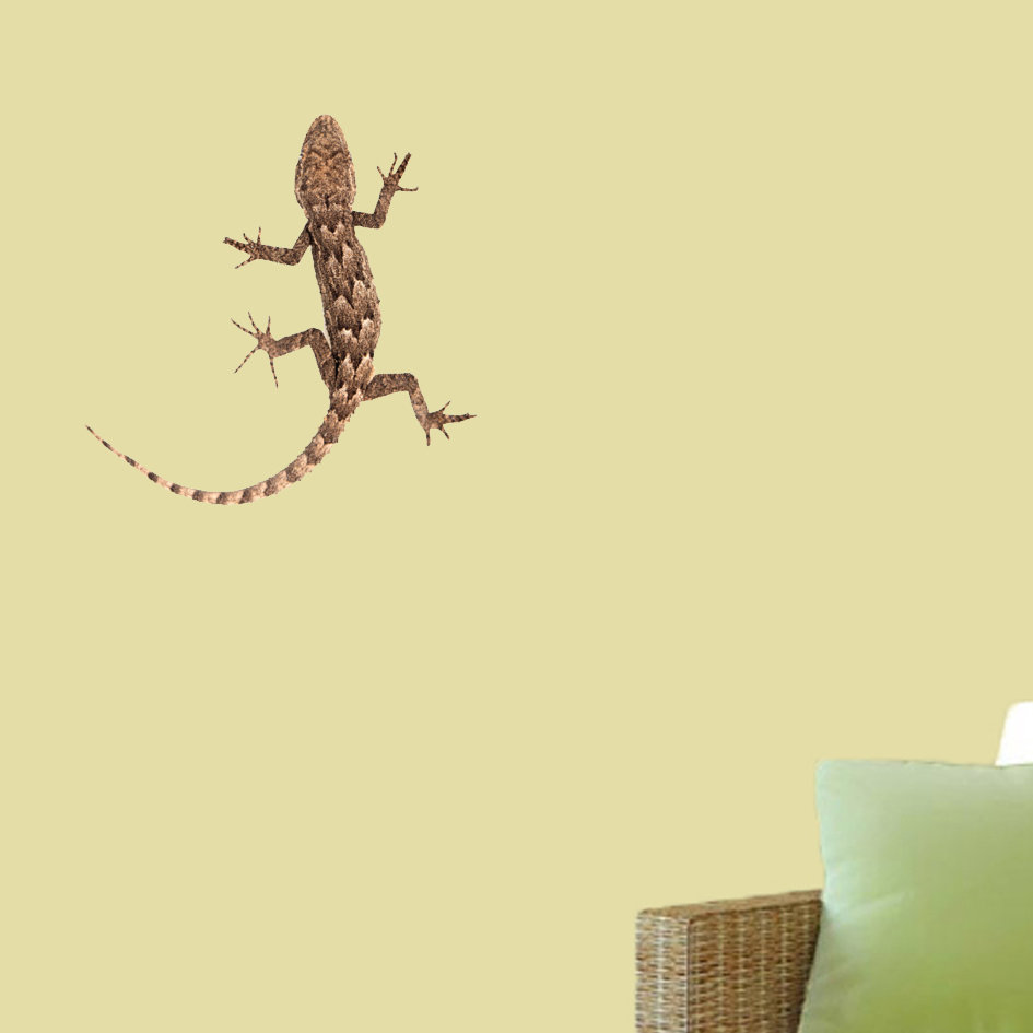 Sweetums Wall Decals Real Life Lizard Wall Decal & Reviews | Wayfair