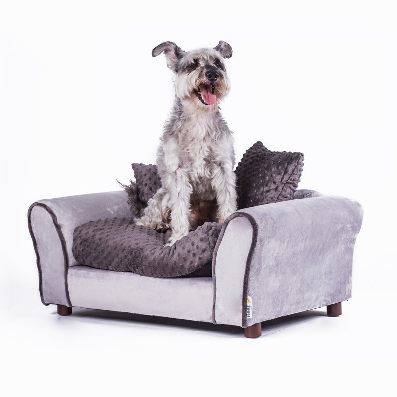 Tucker Murphy Pet™ Pablo Dog Sofa & Reviews | Wayfair