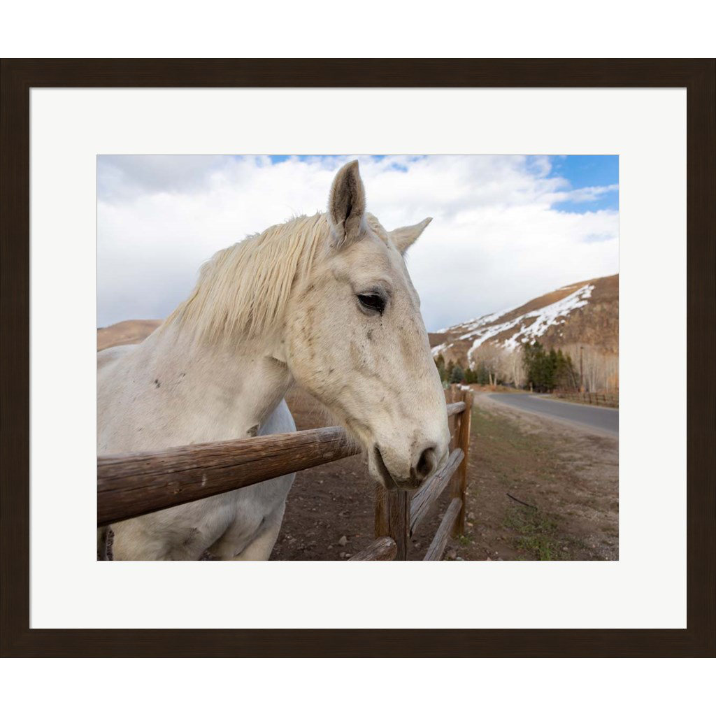 Dovecove On the Ranch by Jeff Poe - Picture Frame Graphic Art | Wayfair