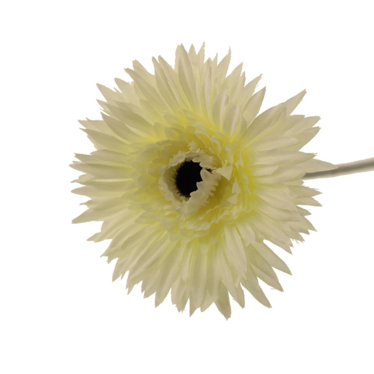 The Seasonal Aisle Spider Gerbera Stems, Bushes, And Sprays Arrangement ...