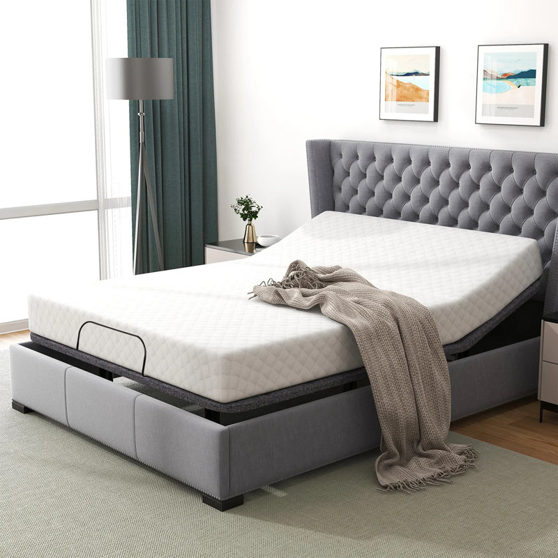 Alwyn Home Zero Gravity Adjustable Bed Frame with Wireless Remote, Head ...