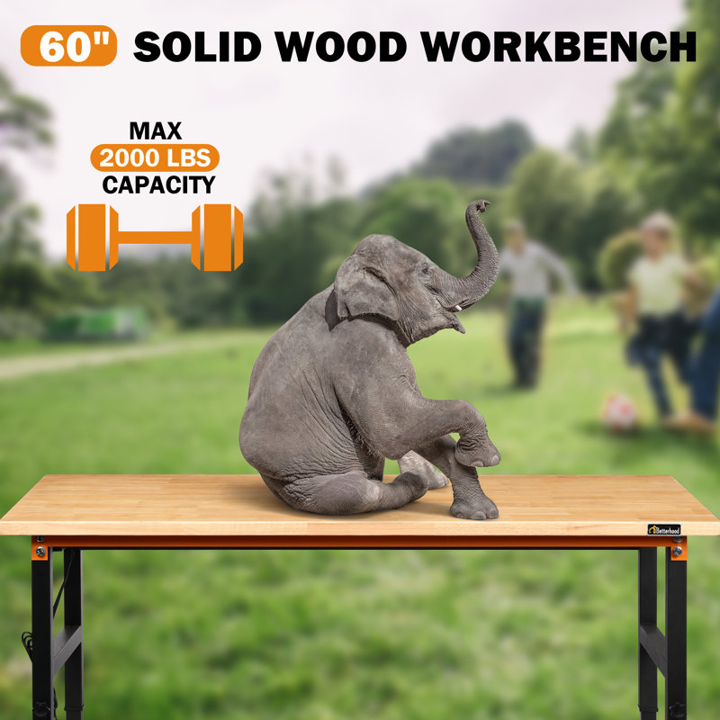 WFX Utility™ Dicha Adjustable Height Wood Workbench & Reviews | Wayfair