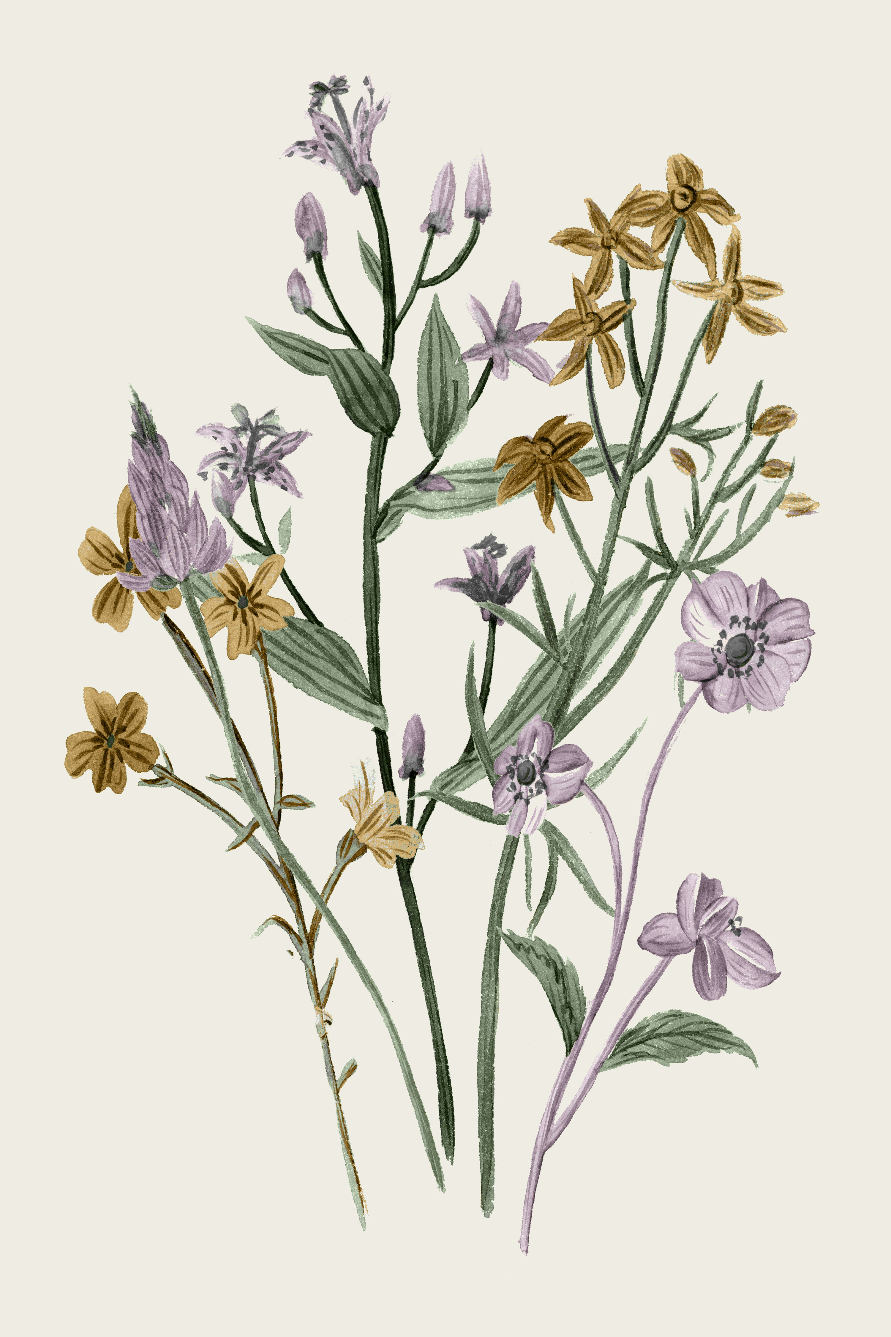 Winston Porter Honey Spring Wildflowers I On Canvas by Melissa Wang ...