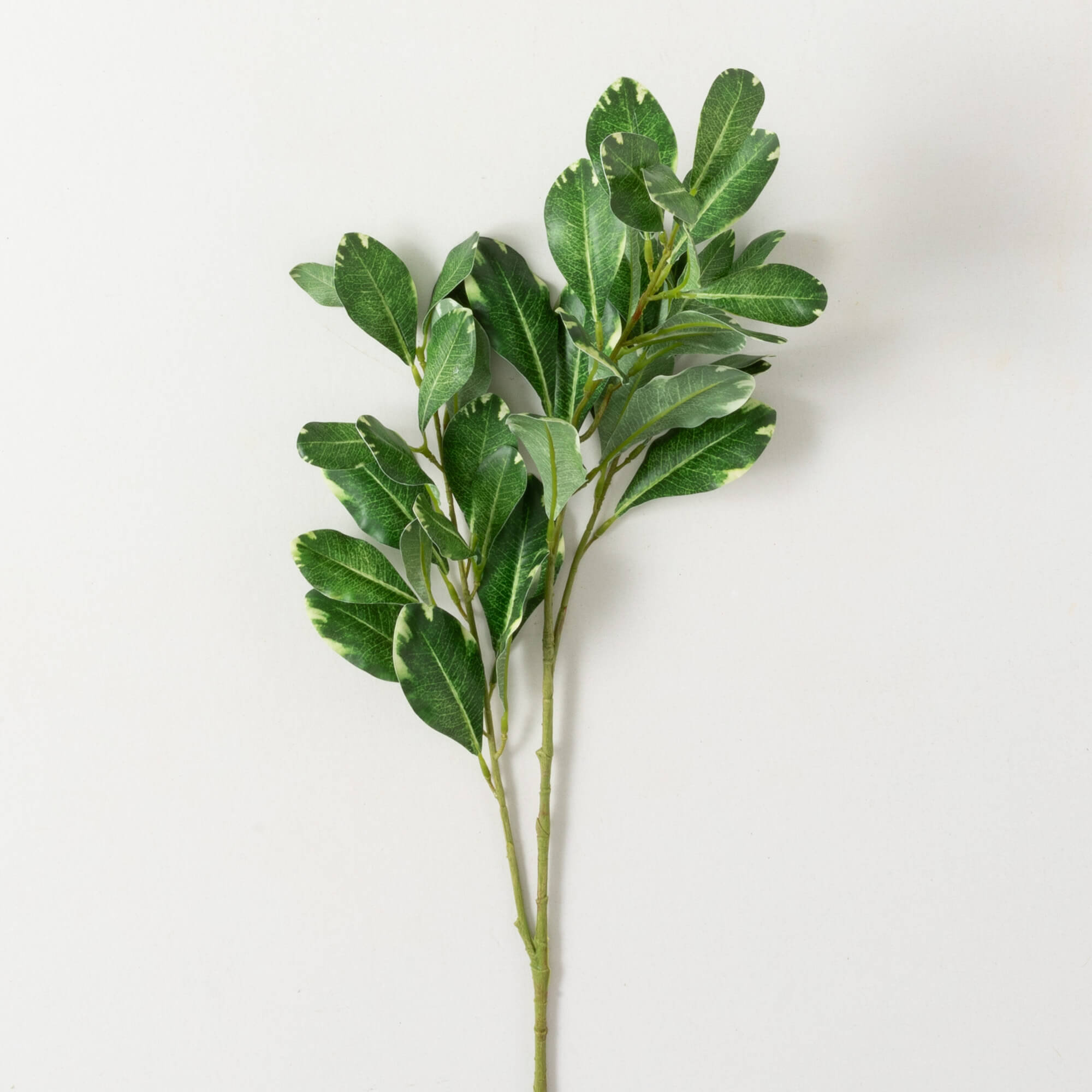 Dakota Fields Sullivans Artificial Green Pittosporum Spray 30"H; Green ...