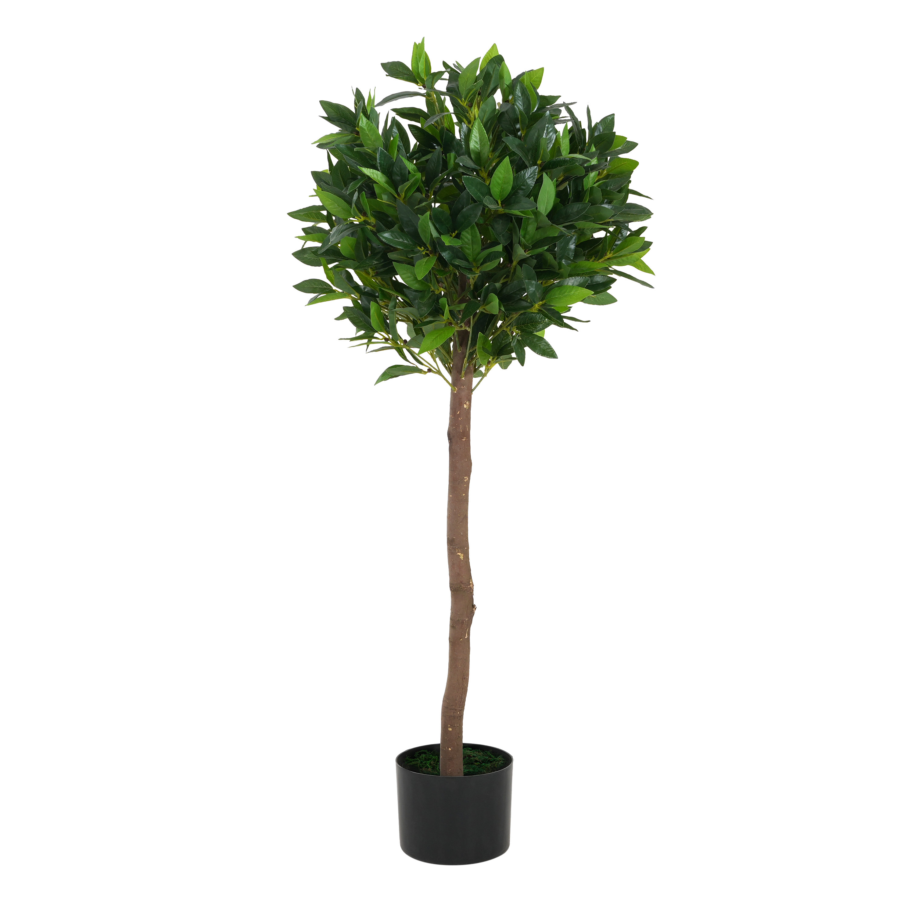 Primrue Jose Artificial Topiary Ball Bay Trees With Pots | Wayfair