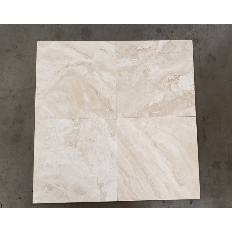 Stone & Tile Shoppe, Inc. 12" x 24" Marble Marble Look Wall & Floor ...