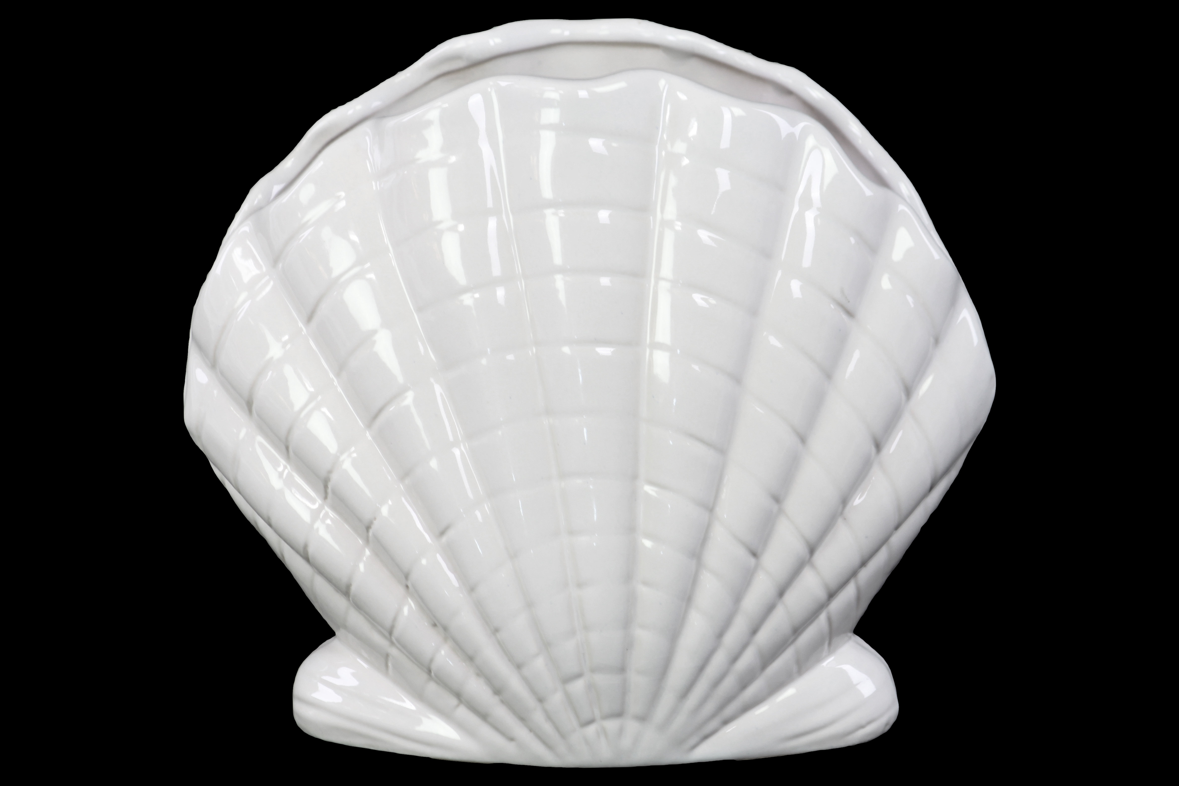 Highland Dunes Colunga Ceramic Clam Seashell Figurine | Wayfair