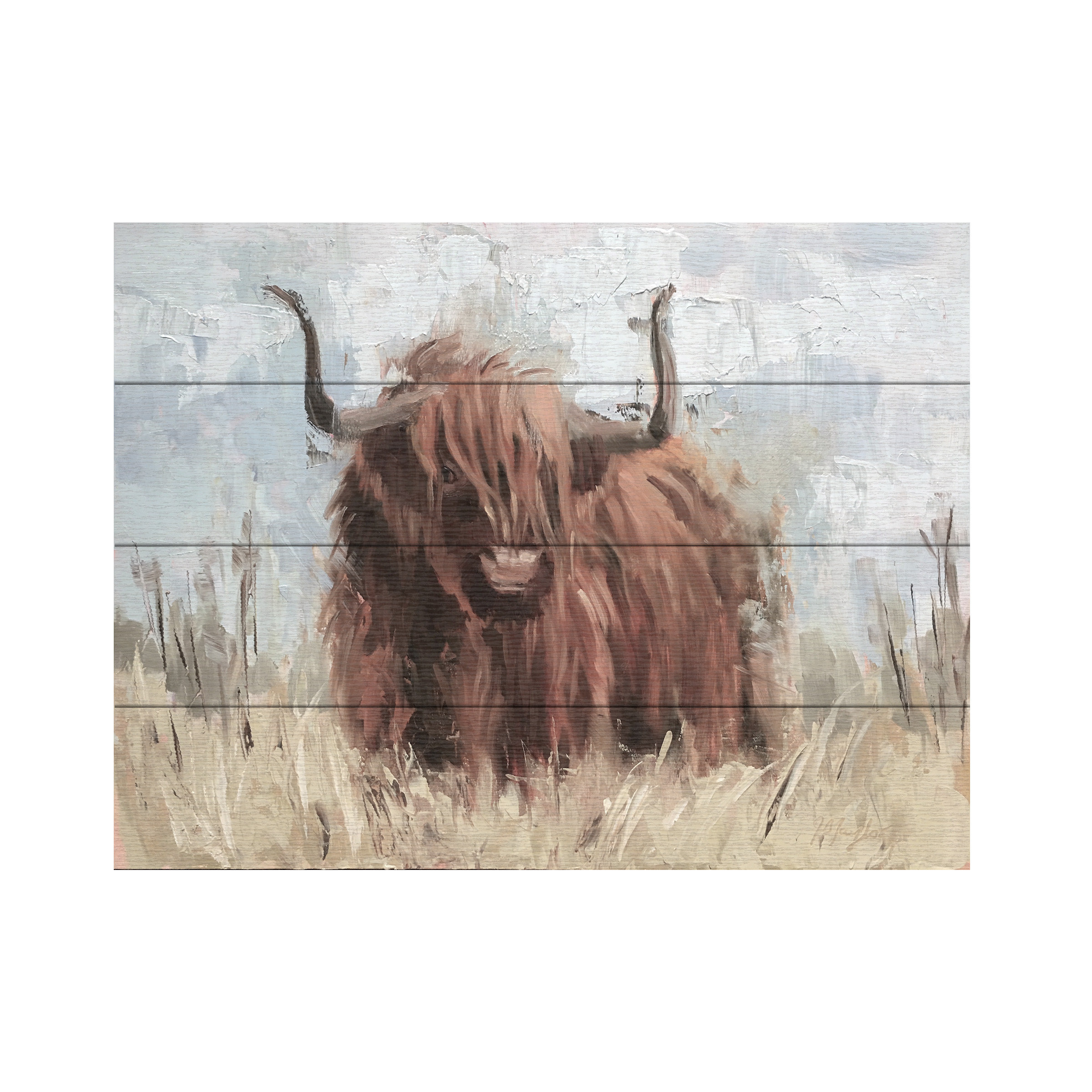 Trademark Fine Art Jennifer Stottle Taylor 'Scottish Highland Bull B ...