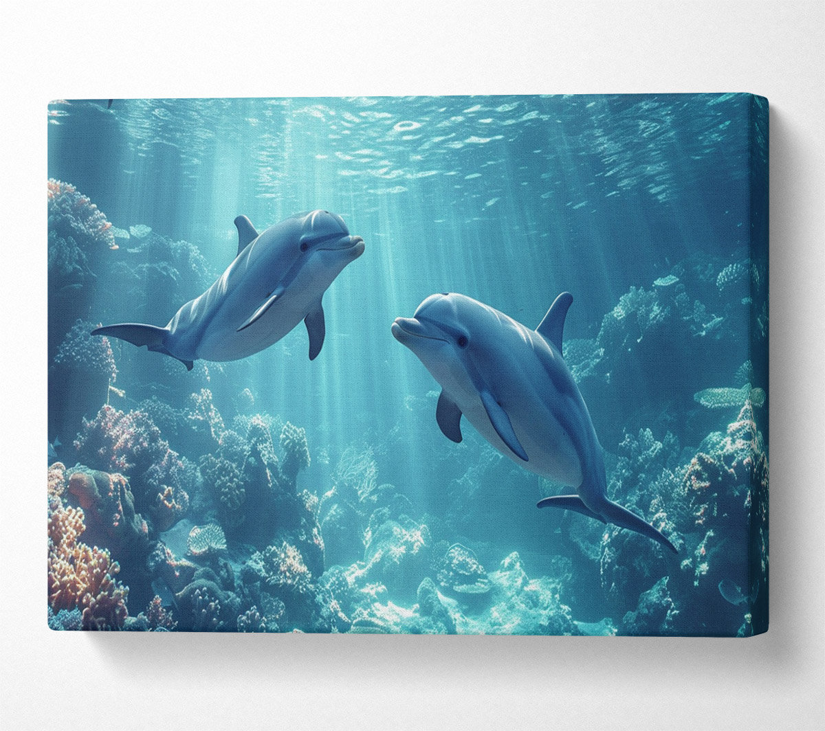 House of Hampton Dolphins Playing Canvas Print | Wayfair.co.uk