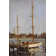 Longshore Tides Ivory Falcon At Rest by Chuck Larivey - Wrapped Canvas ...
