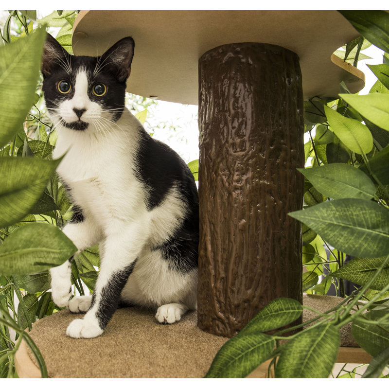 Tucker Murphy Pet™ Kittle Cat Tree and Cat Perches & Reviews | Wayfair