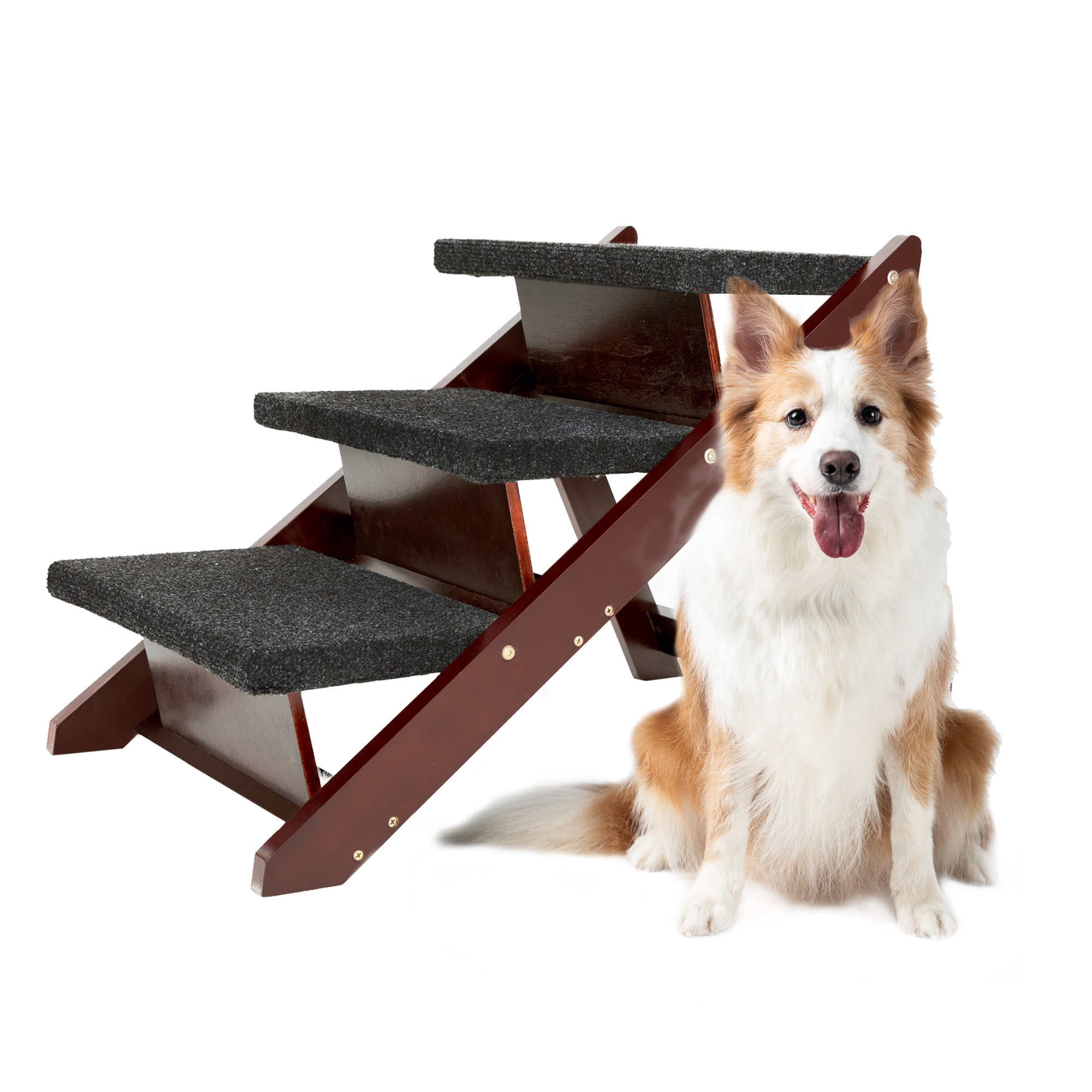 Tucker Murphy Pet™ Wood Pet Stairs/Pet Steps - Foldable Dog Stairs ...
