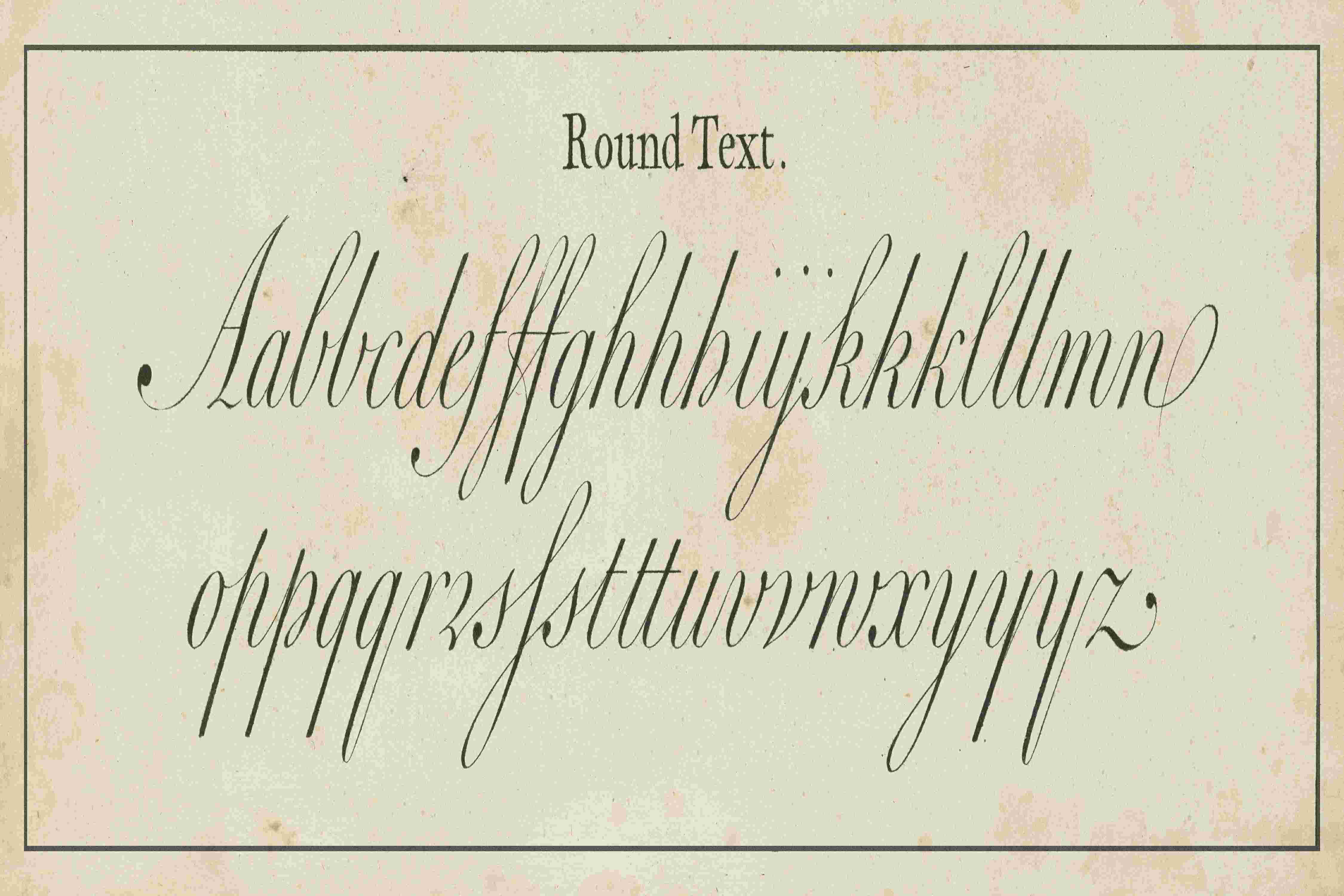 Trinx Manuscript Sampler II - Wayfair Canada