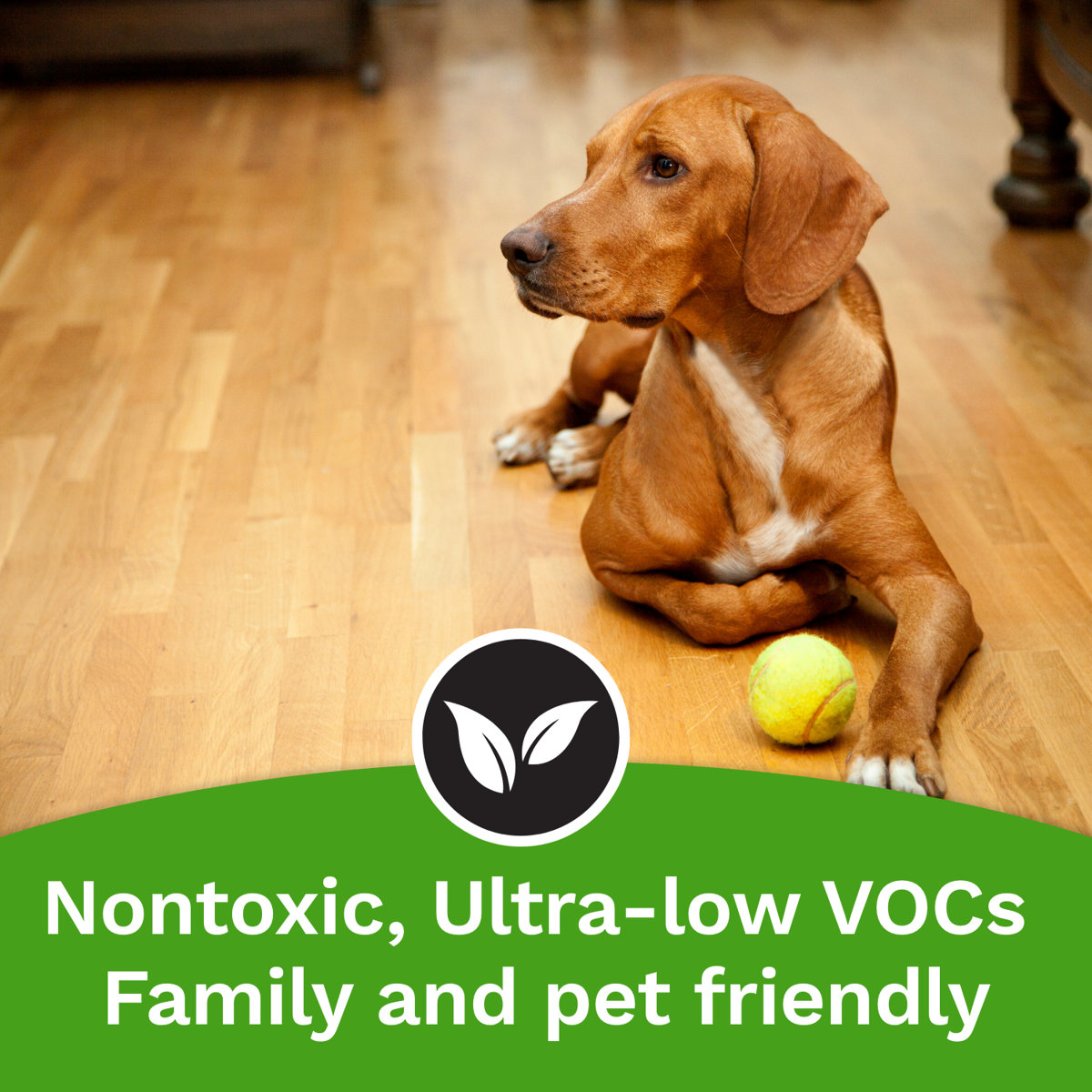 Eco Cork Foam Cork Underlayment Roll (300 sq.ft./roll) & Reviews | Wayfair