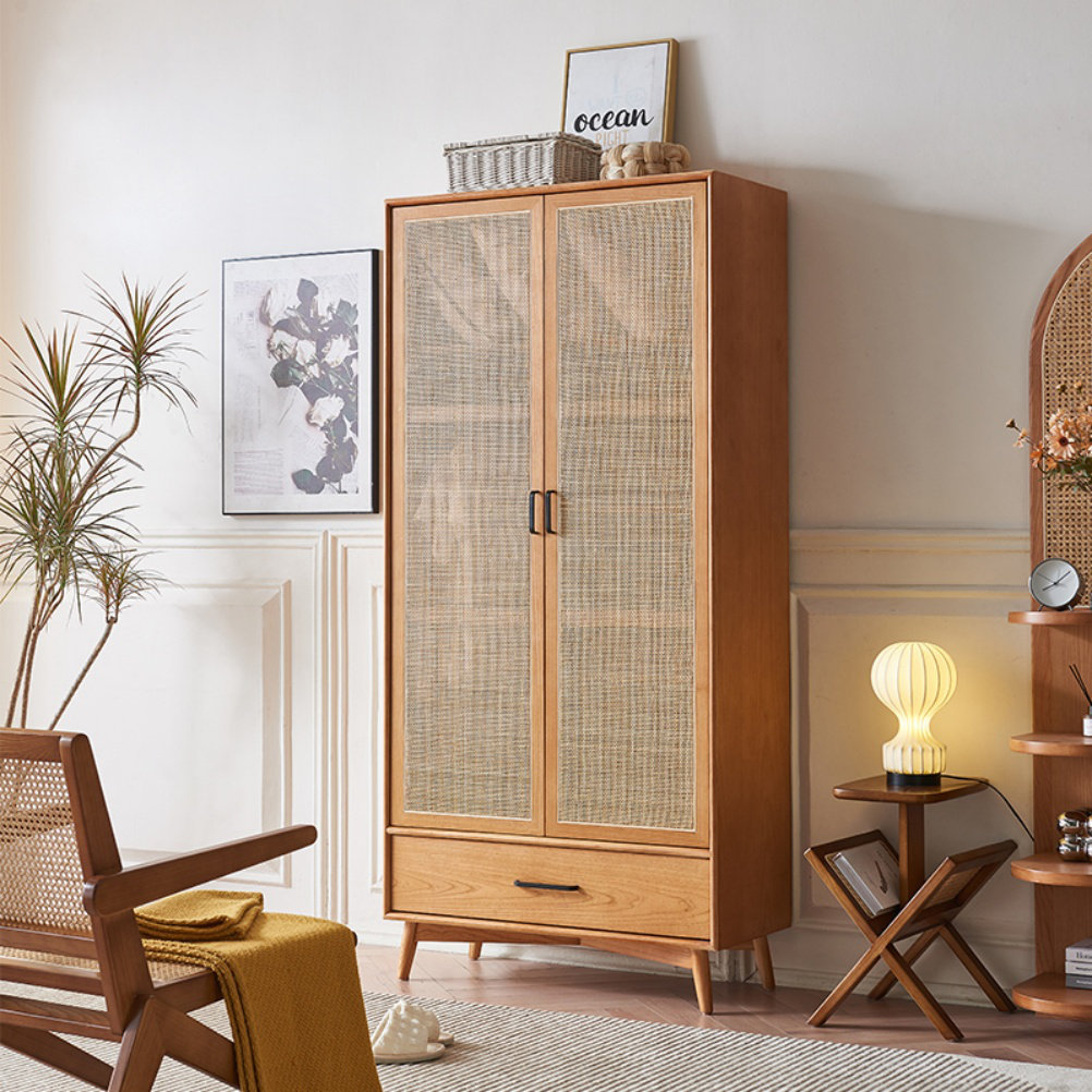 Parttlion Creative Retro Wardrobe - Wayfair Canada