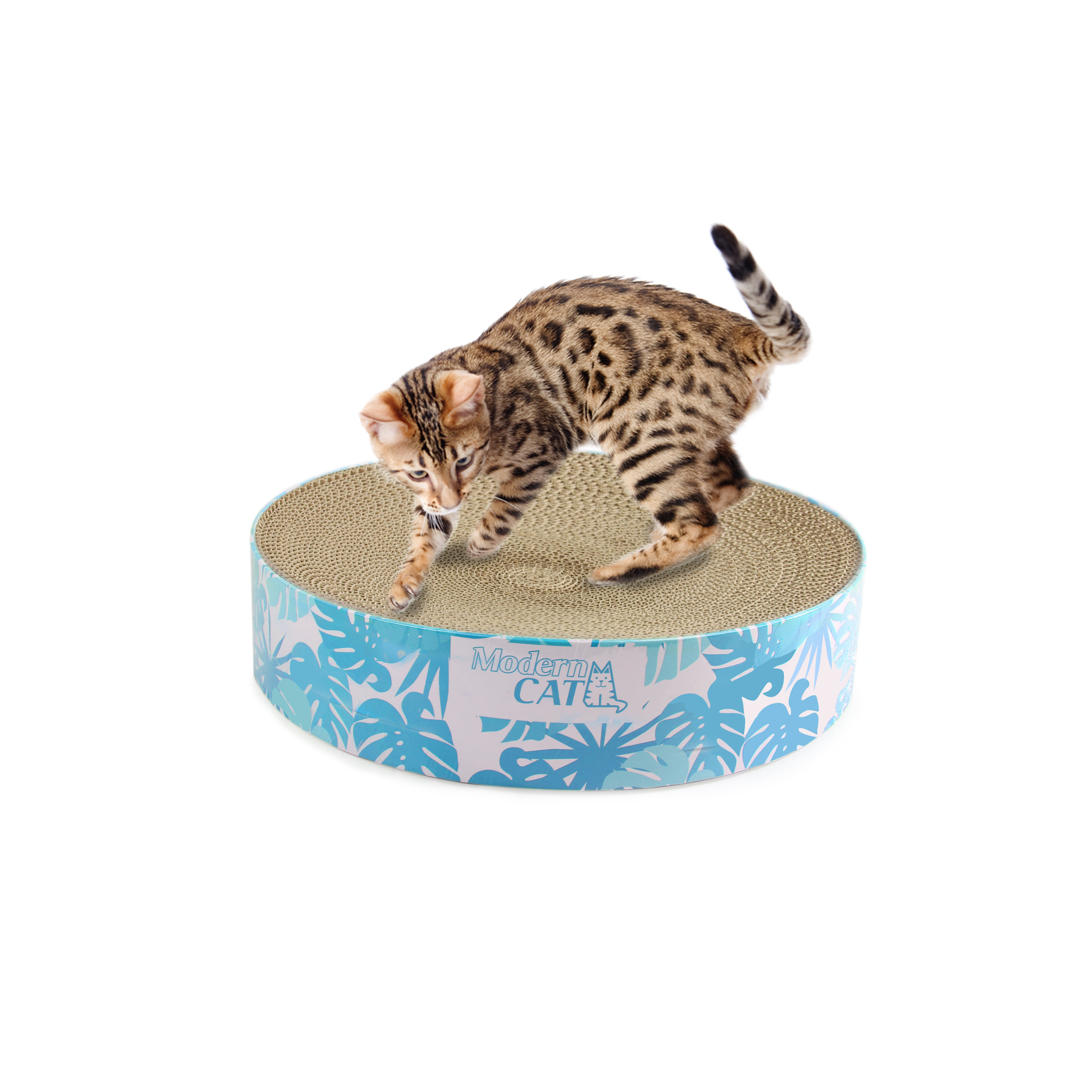 Tucker Murphy Pet™ Grattoir 3-pack Cat Round Scratcher Scratching Pad ...