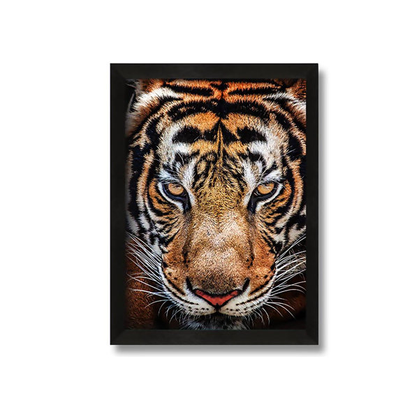 Latitude Run Beautiful Tiger Face - Single Picture Frame Print on ...