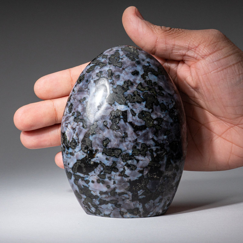 Astro Gallery of Gems Genuine Polished Indigo Gabbro (Medium) Freeform ...