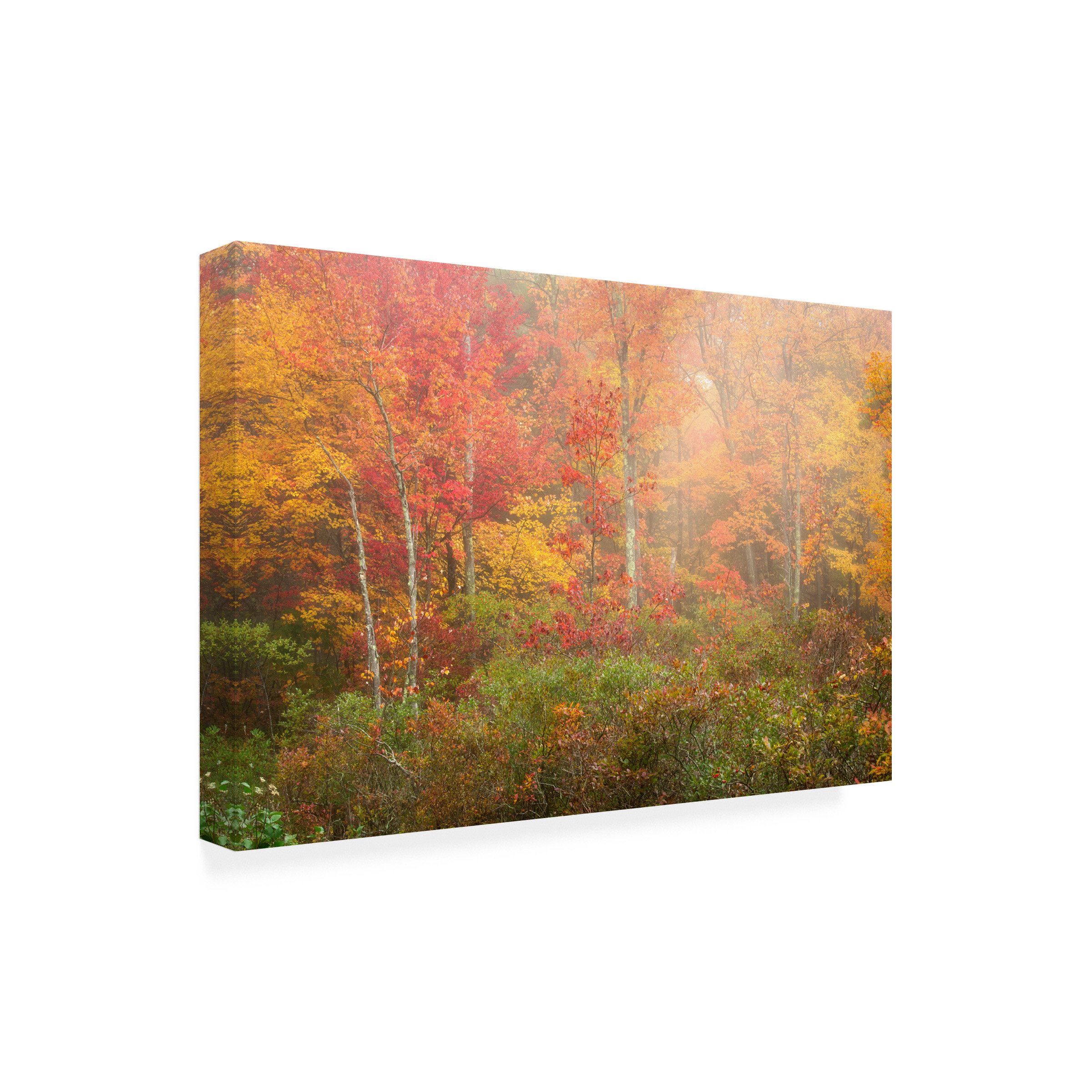 Millwood Pines Patrick Zephyr Soft Pallet Canvas Art - Wayfair Canada