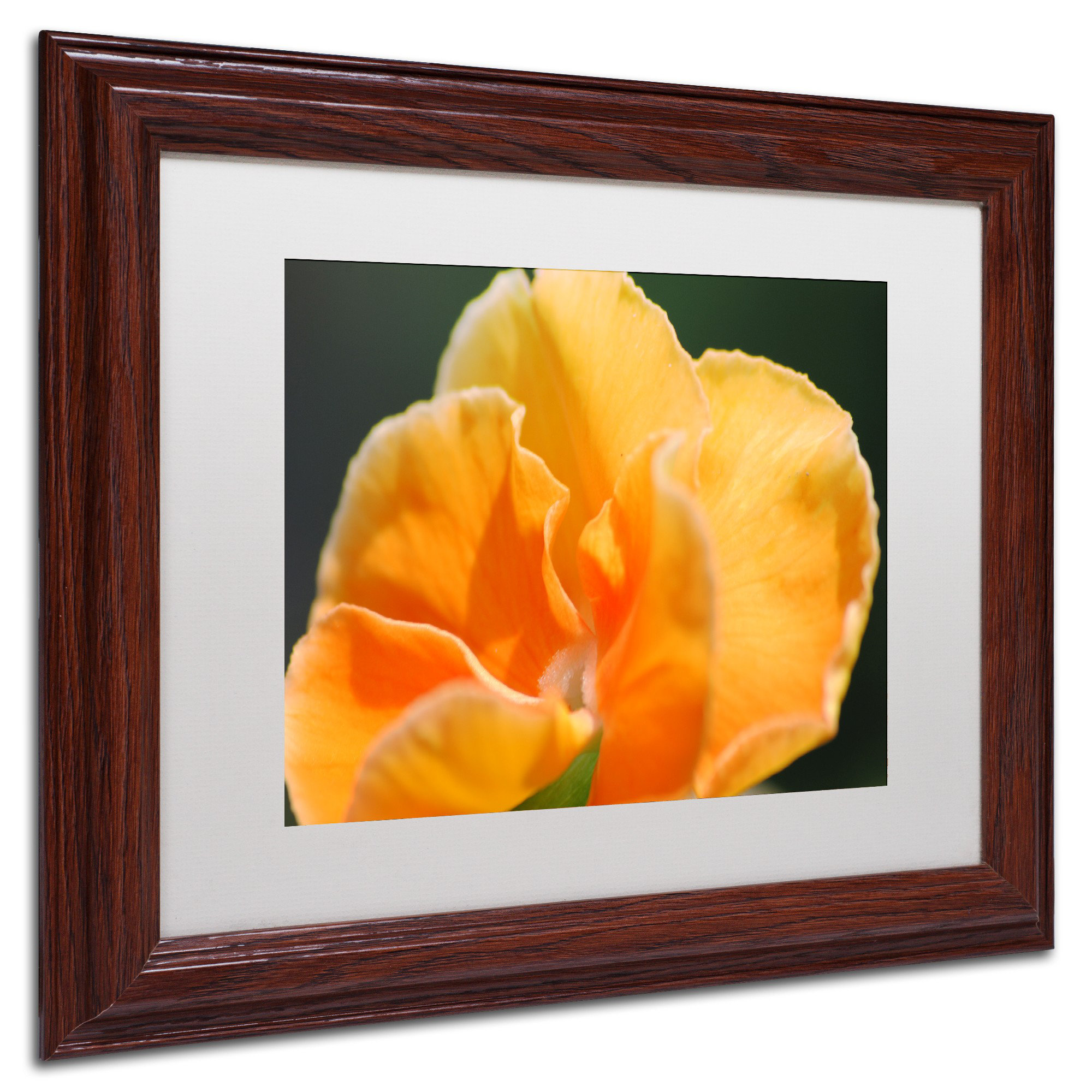 Ebern Designs Simple Compassion by Monica Mize - Picture Frame ...