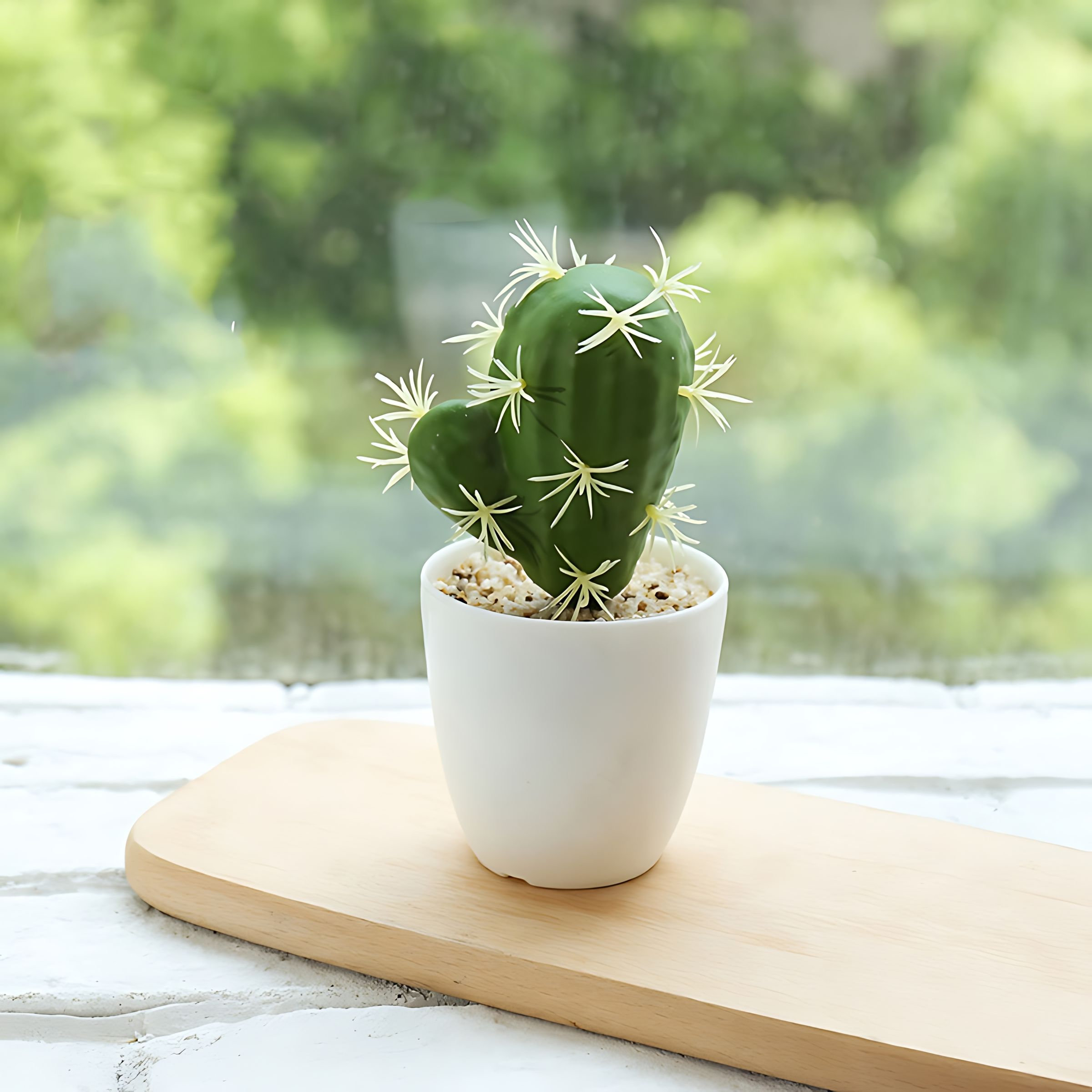 George Oliver Nordic Green Plants, Indoor Cacti, Small Potted Plants ...