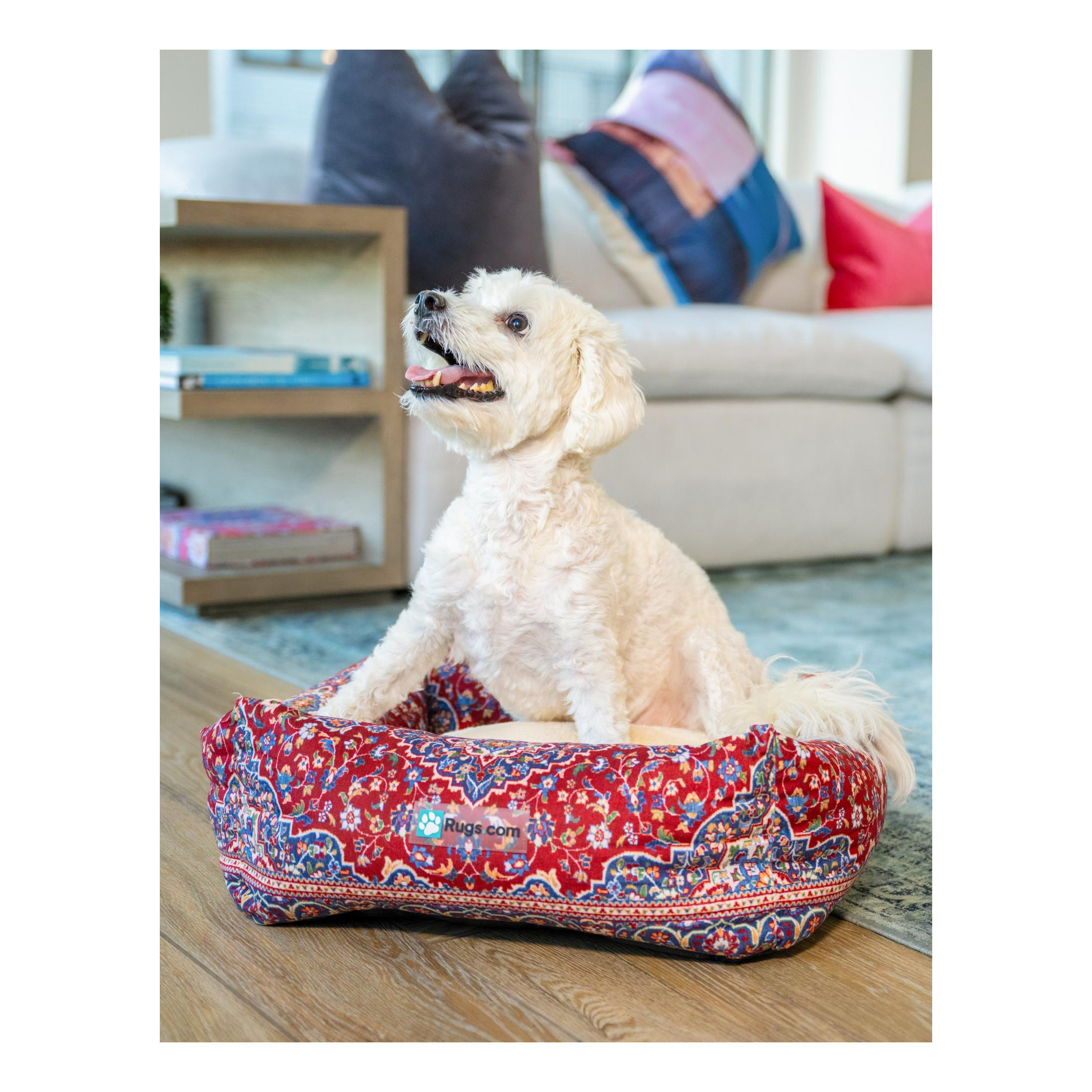 Rugs.com Austin Premium Pet Bed Rug - Wayfair Canada