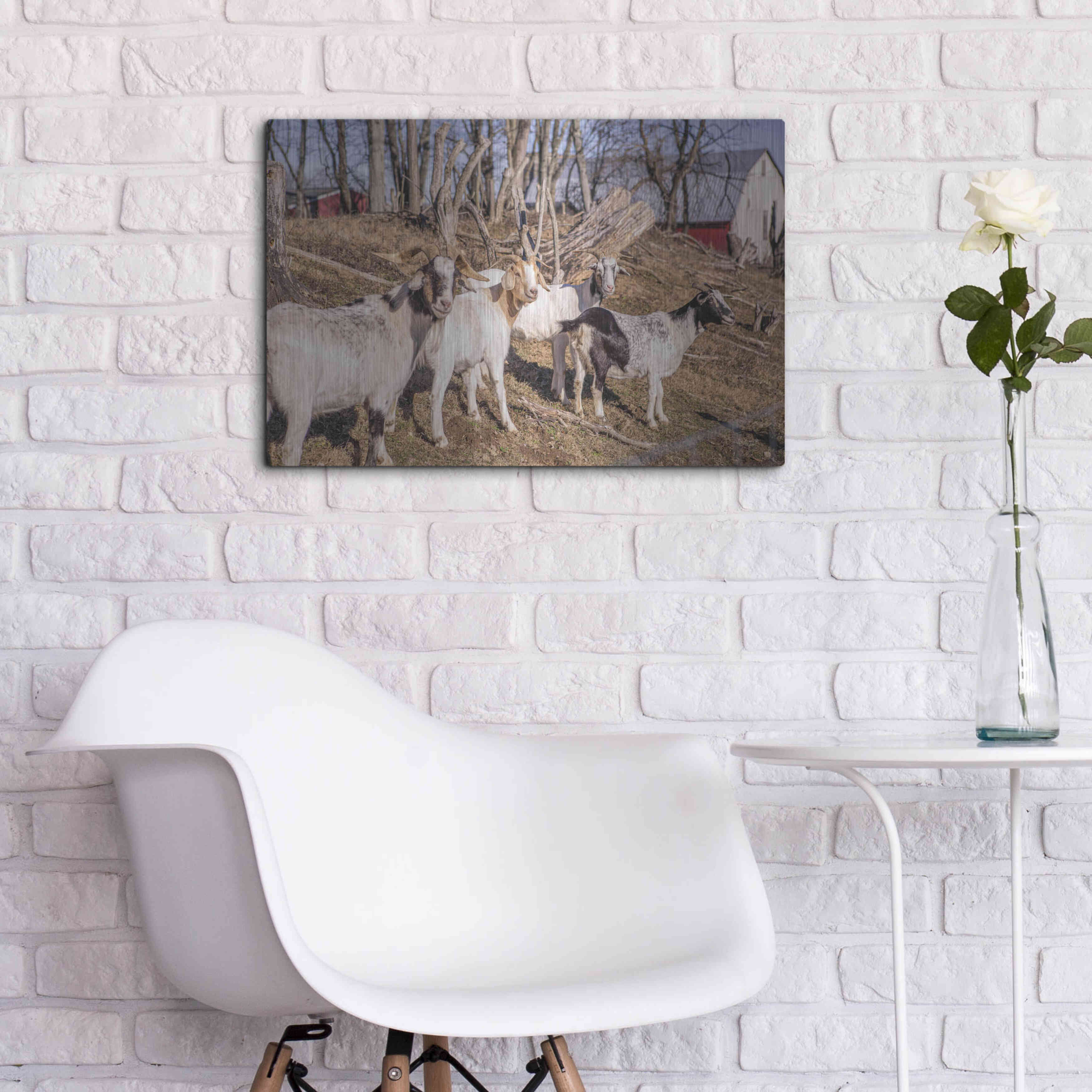 August Grove " Goats Of A Feather " by Donnie Quillen - Wayfair Canada
