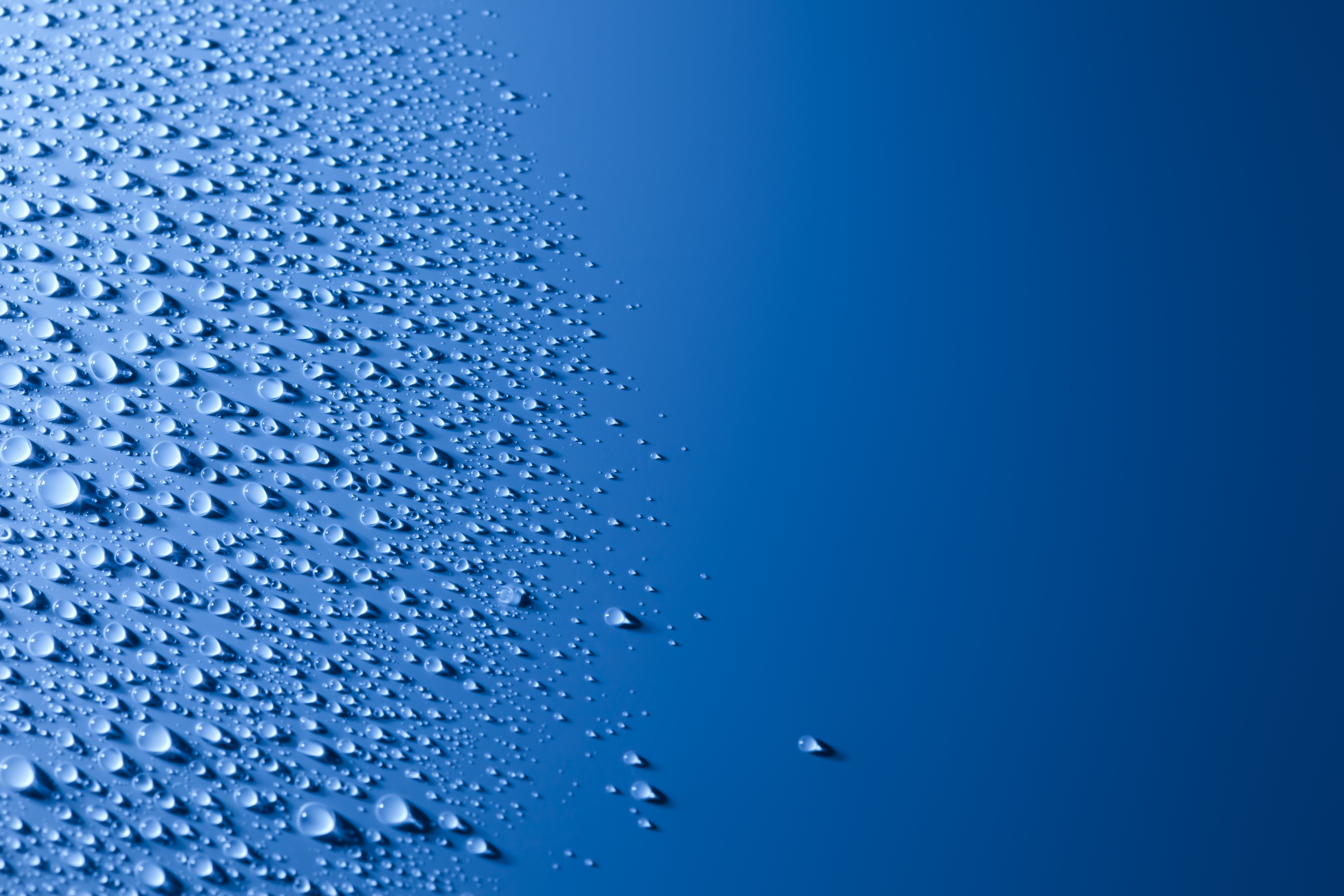 Ebern Designs Water Drops Background - Wrapped Canvas Photograph | Wayfair