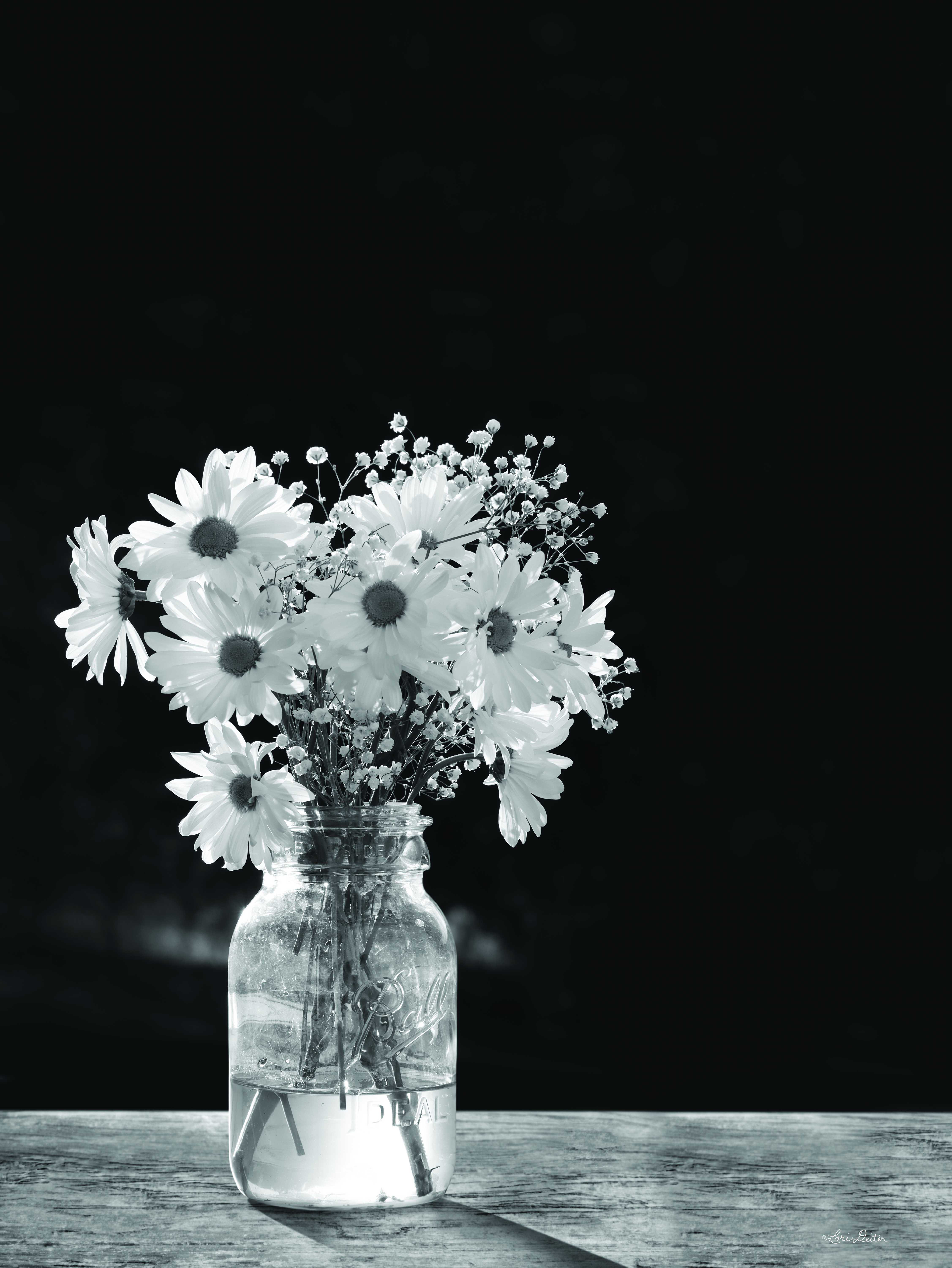 Hokku Designs Dainty Daisies - Wayfair Canada