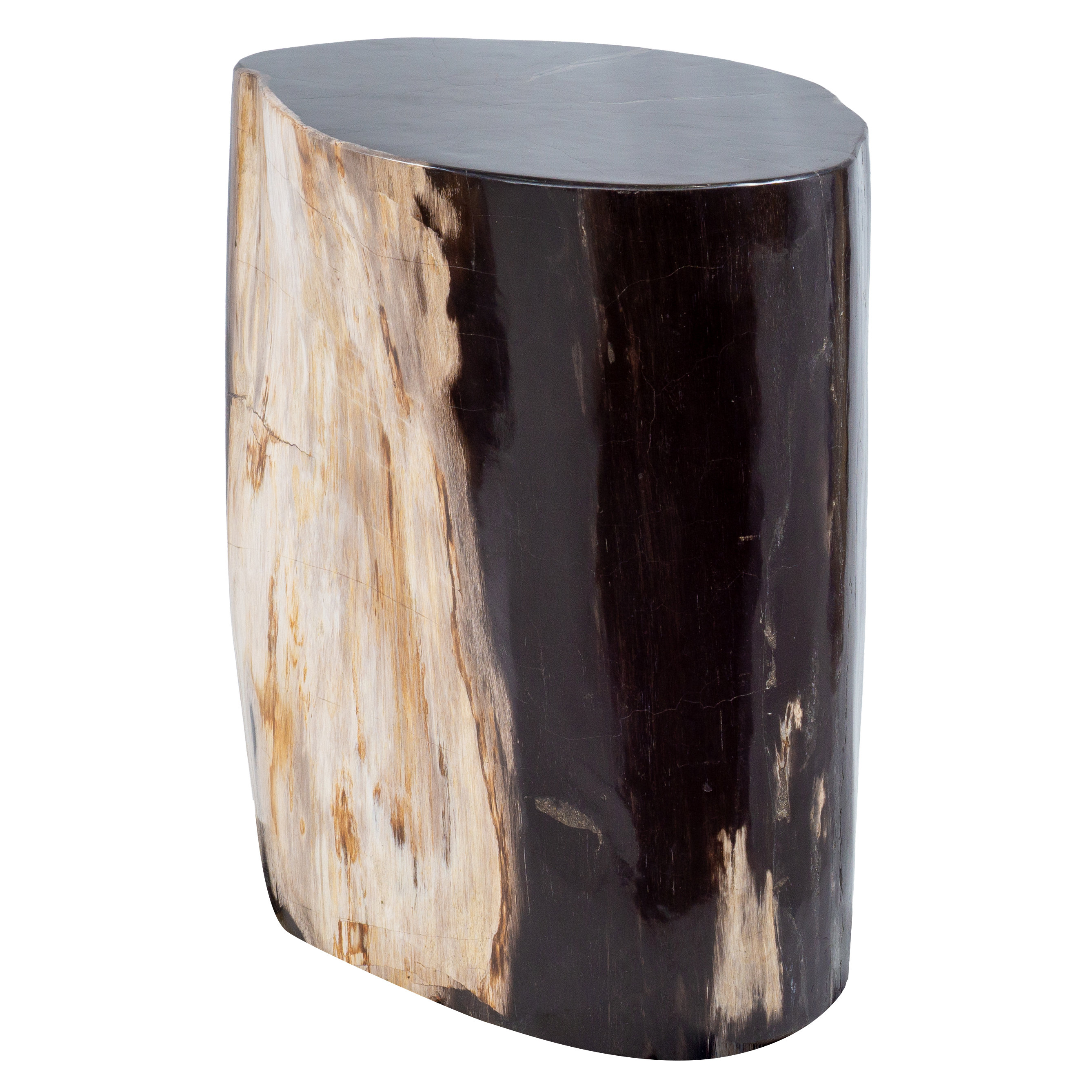 Daribali Design Fossil Relics End Table | Wayfair