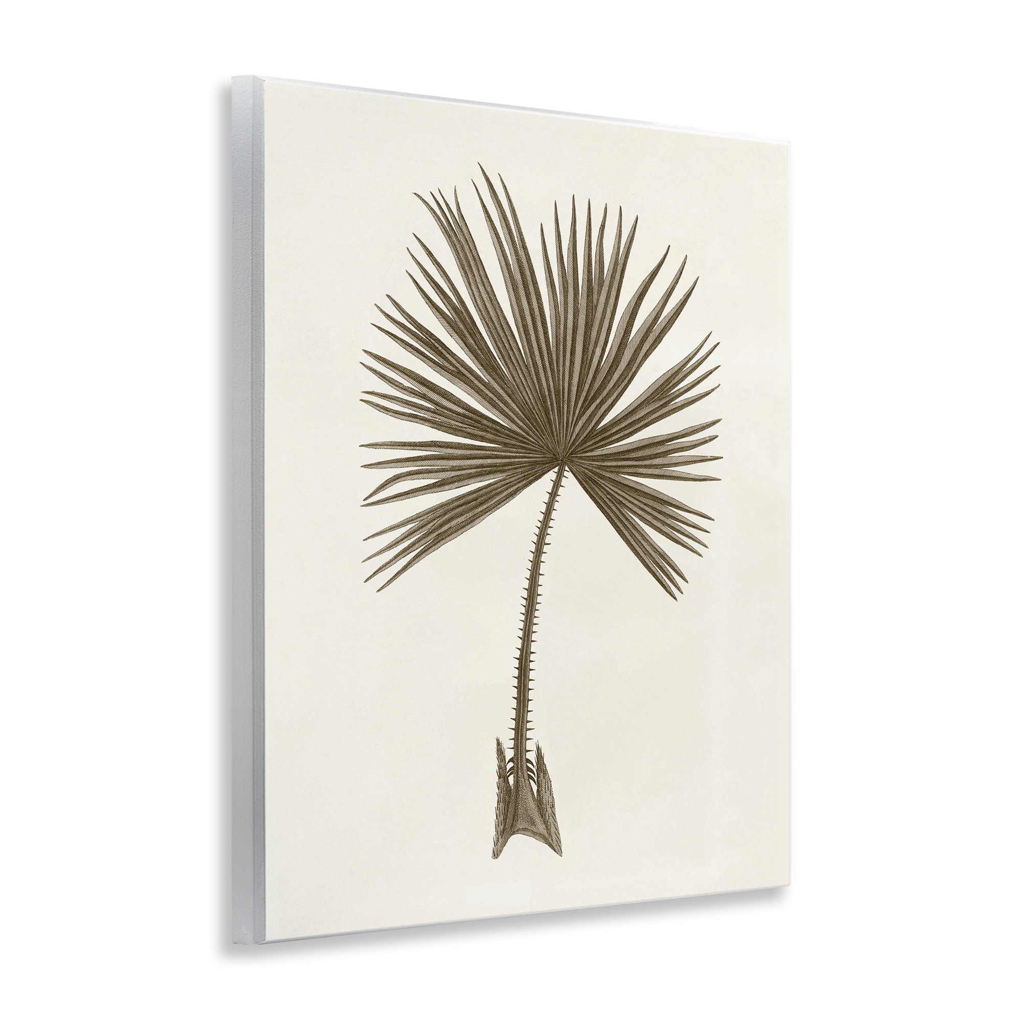 Dakota Fields Vintage Study of Palm Leaf Wall Plaque, design by ...