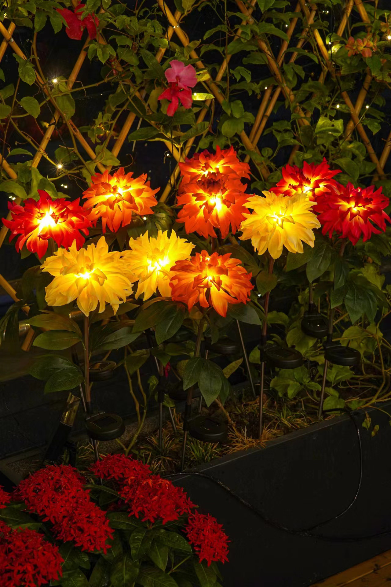 Arlmont & Co. Outdoor Solar Garden Christmas Rose Lights Flower Path ...